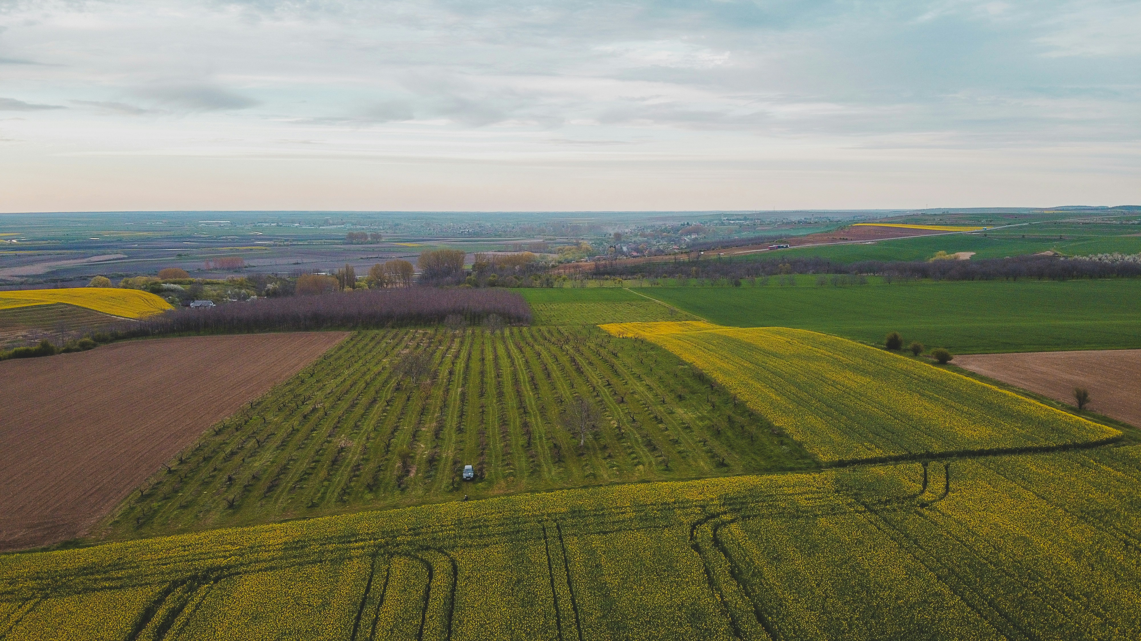 An aerial view of a field of crops photo – Free Romania Image on Unsplash