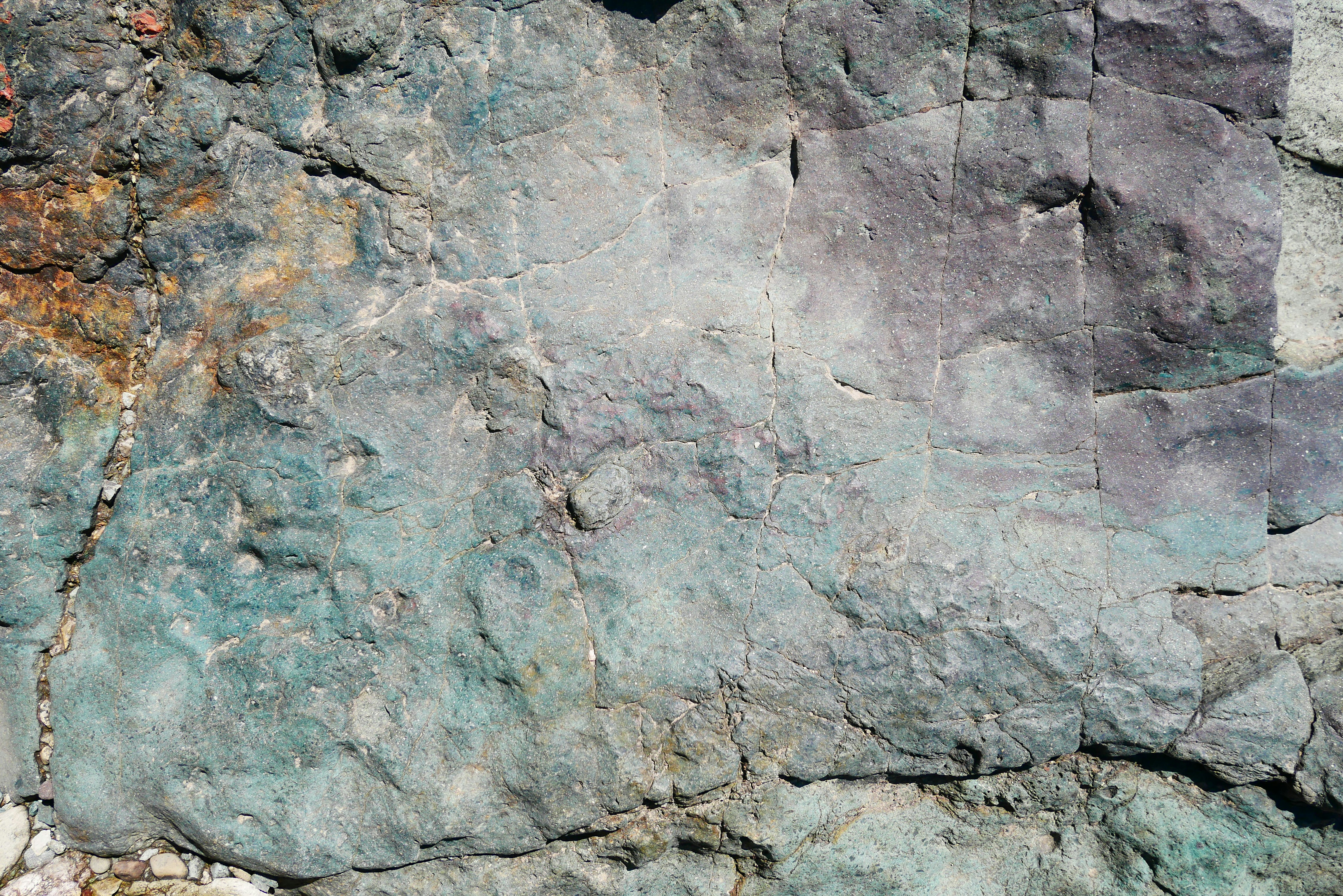 A close up of a rock with a bird on it photo – Free Rock Image on Unsplash