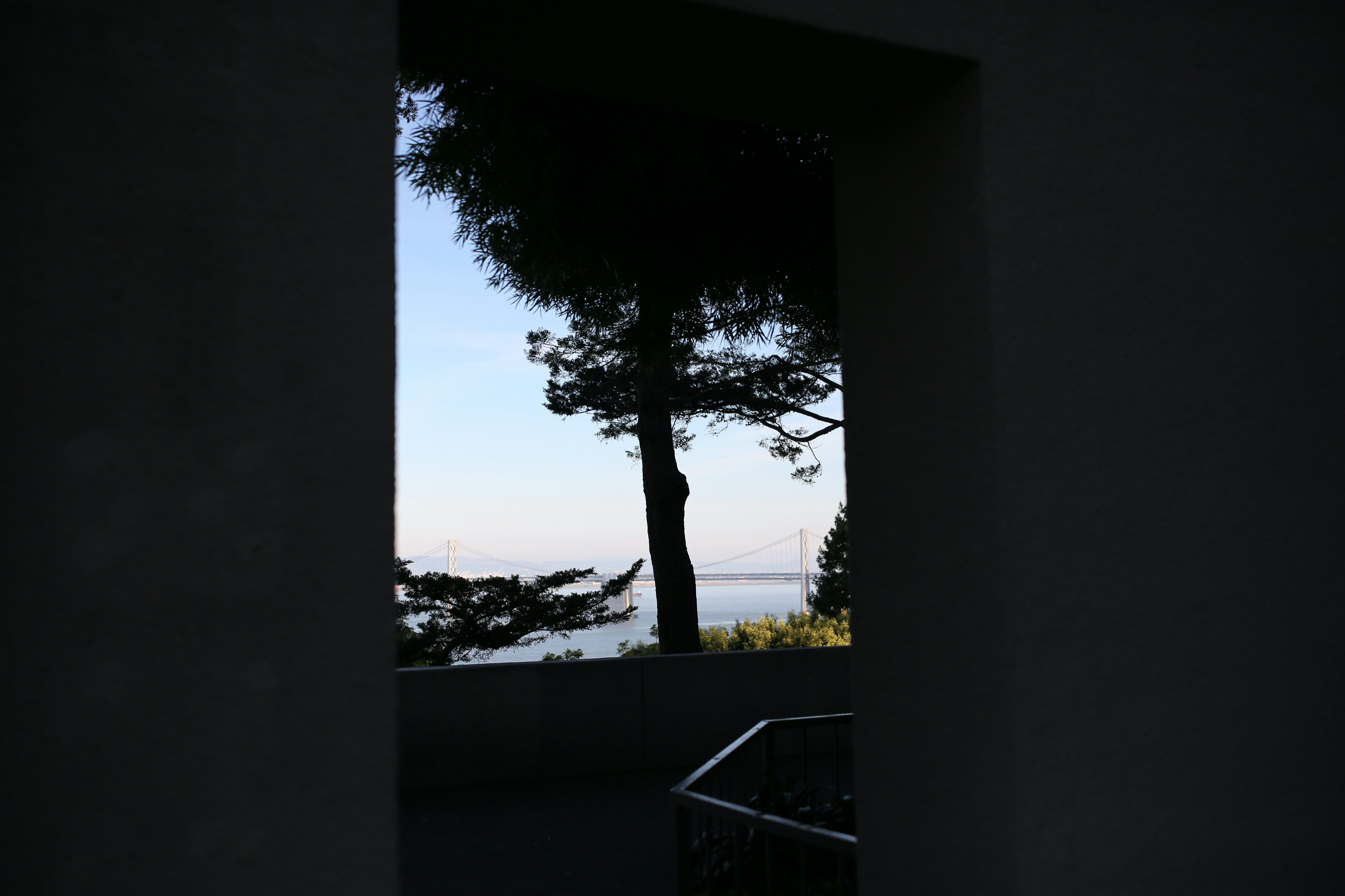 a view of a tree through a window