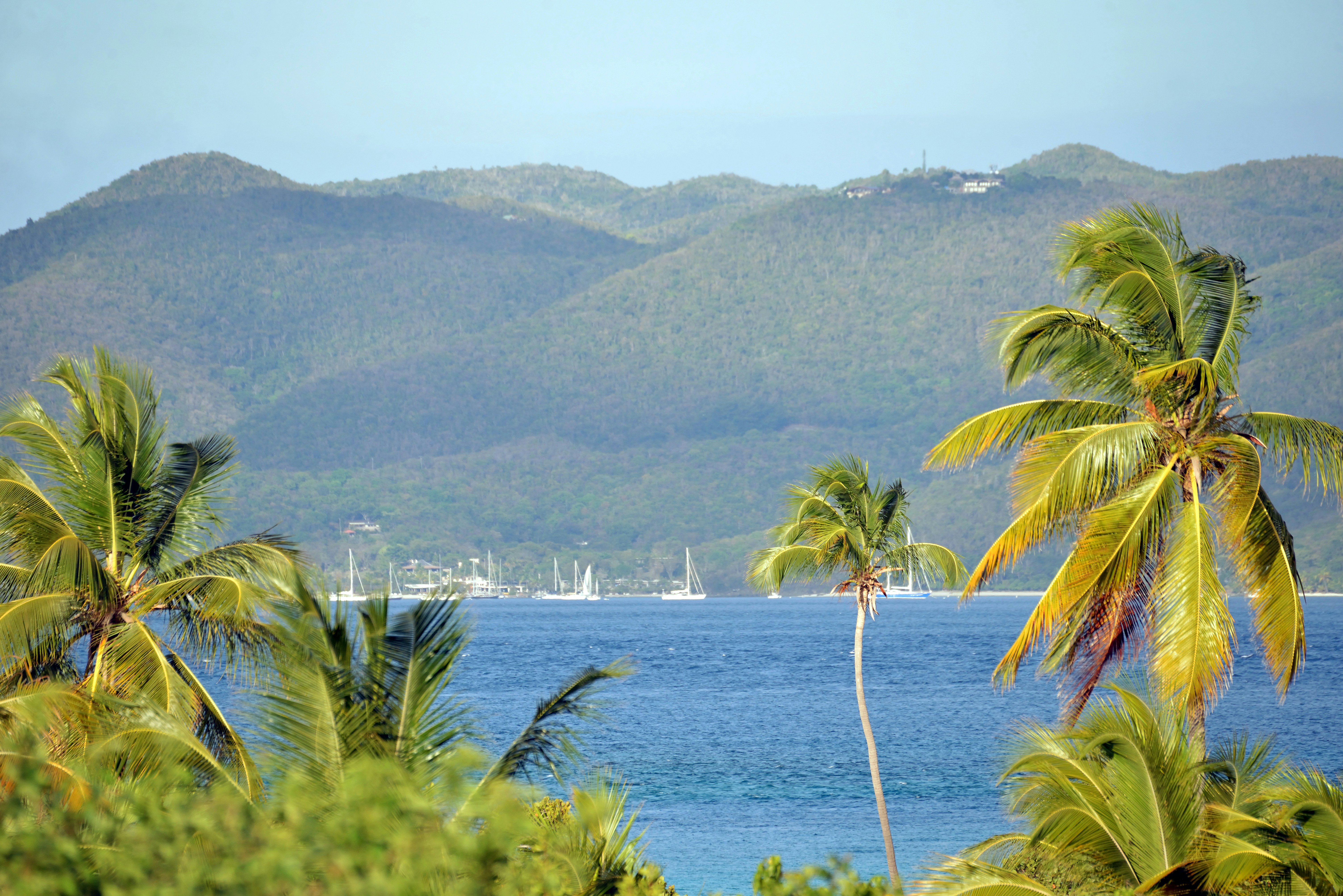 Lush palm trees frame a tranquil seascape, with distant sailboats dotting the horizon against a backdrop of rolling green hills.