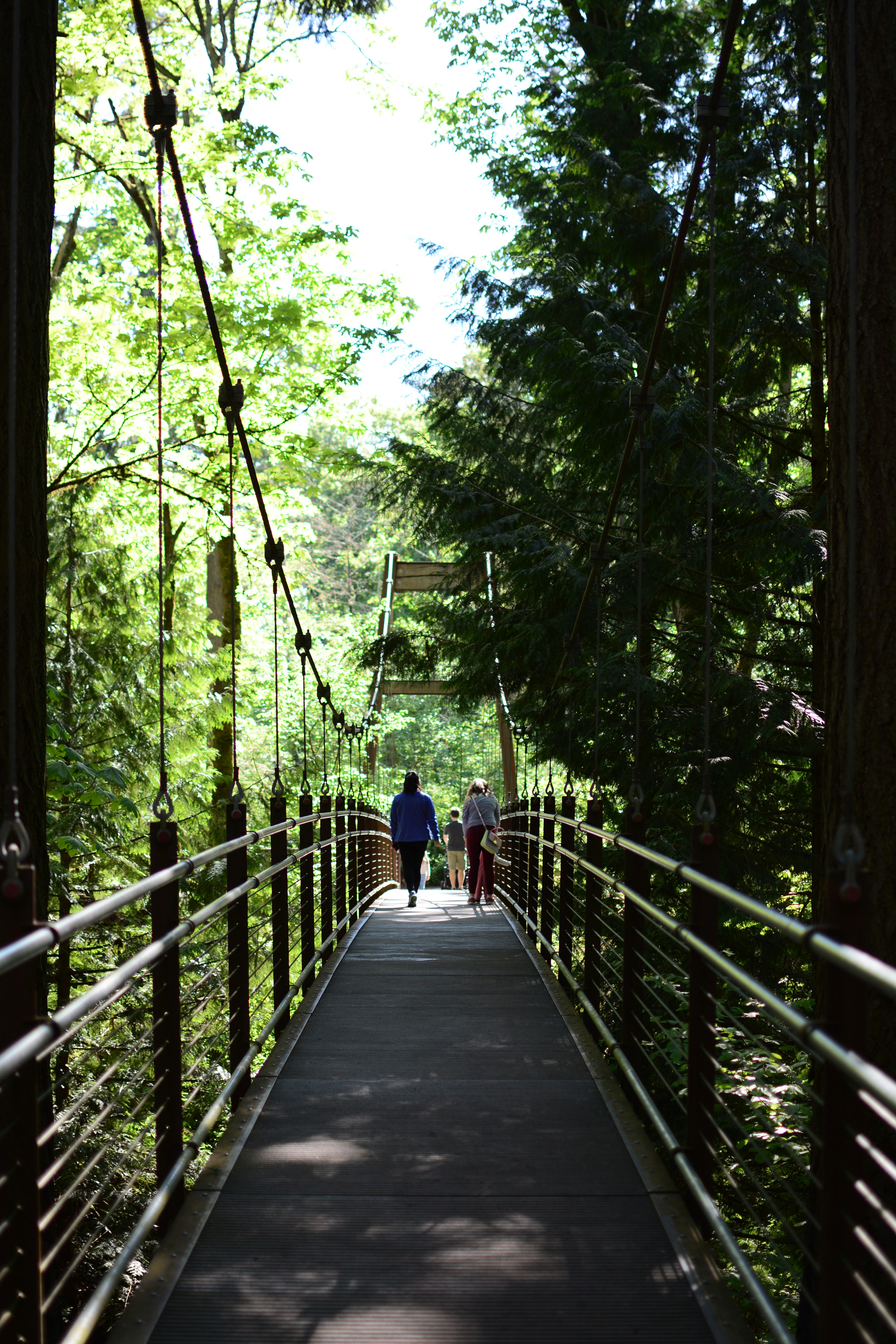 Pedestrian Bridge through Sunlit Green Corridor