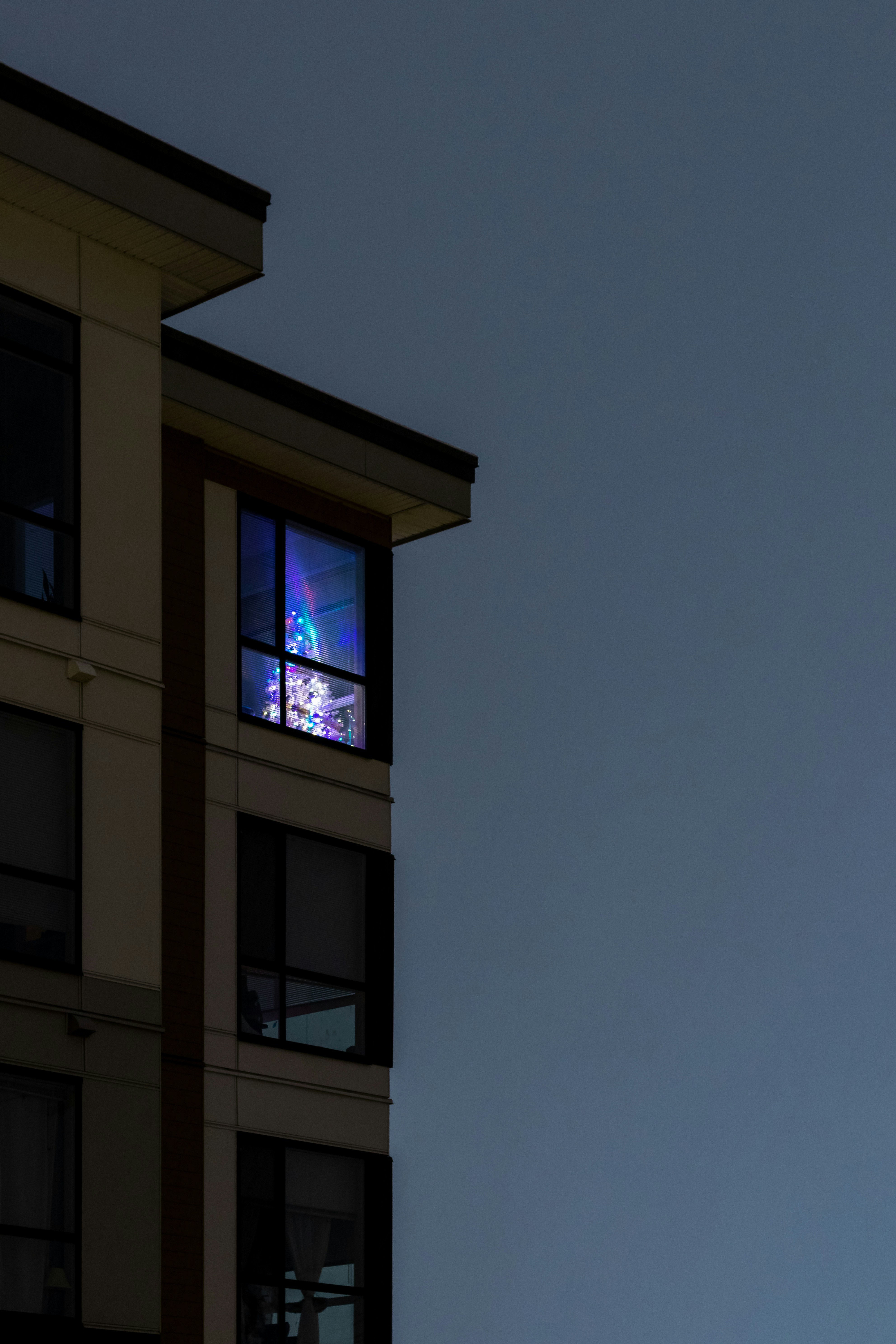 Glowing holiday window: a lit Christmas tree framed in dusk apartment window