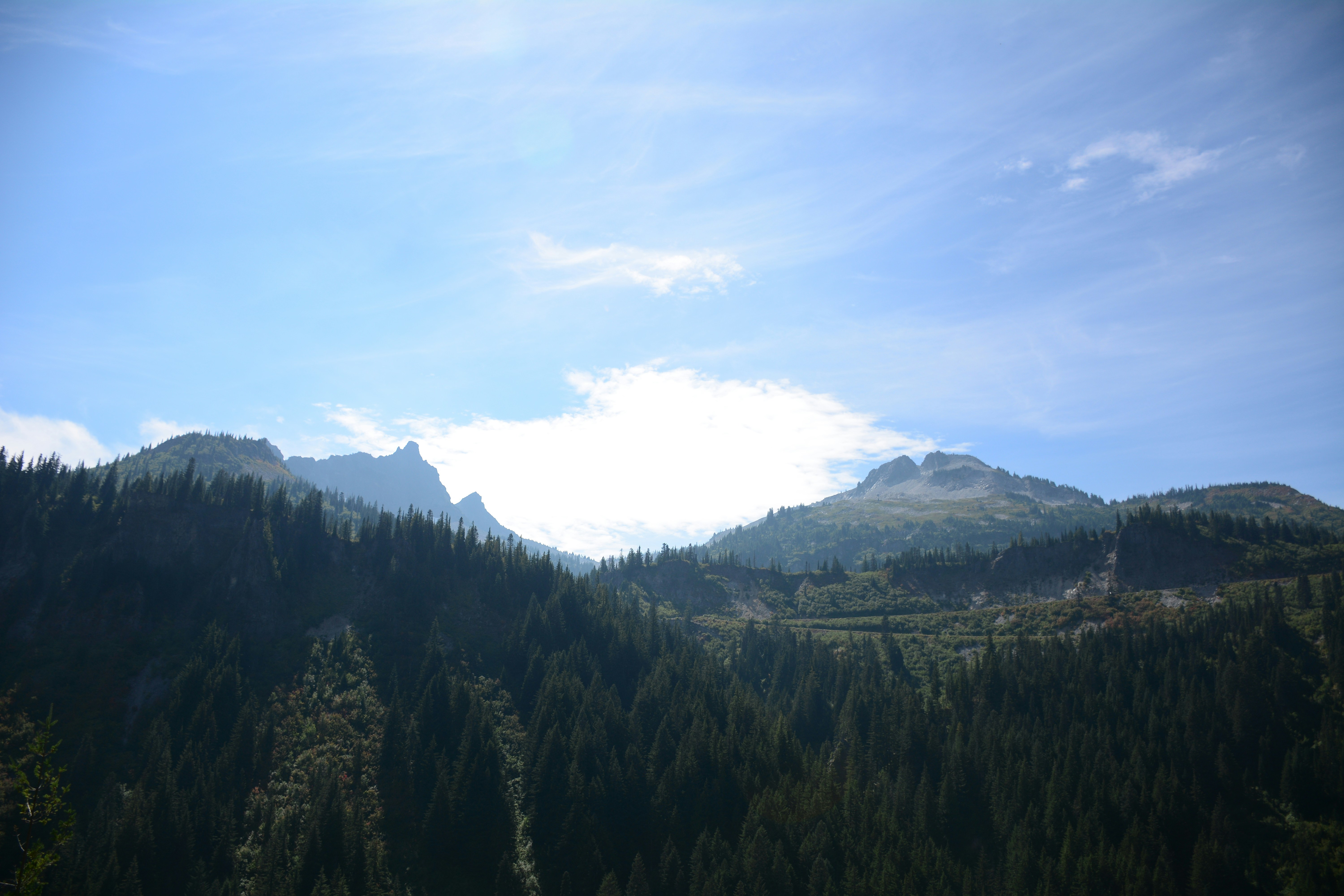 Majestic mountain range under a clear blue sky, with lush forests blanketing the slopes and wispy clouds drifting above.