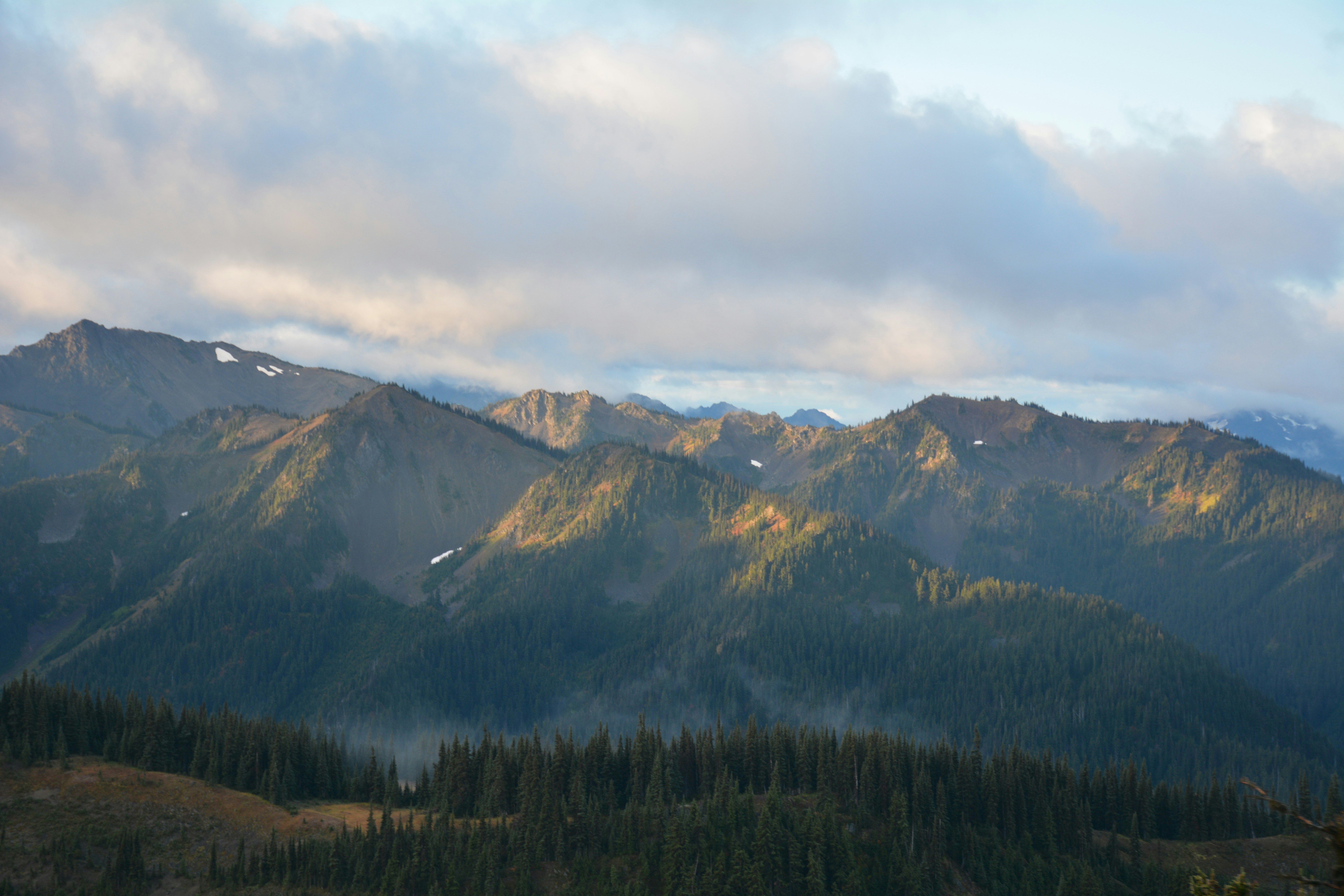 Mountain range bathed in soft sunlight with patches of snow and dense forest below.