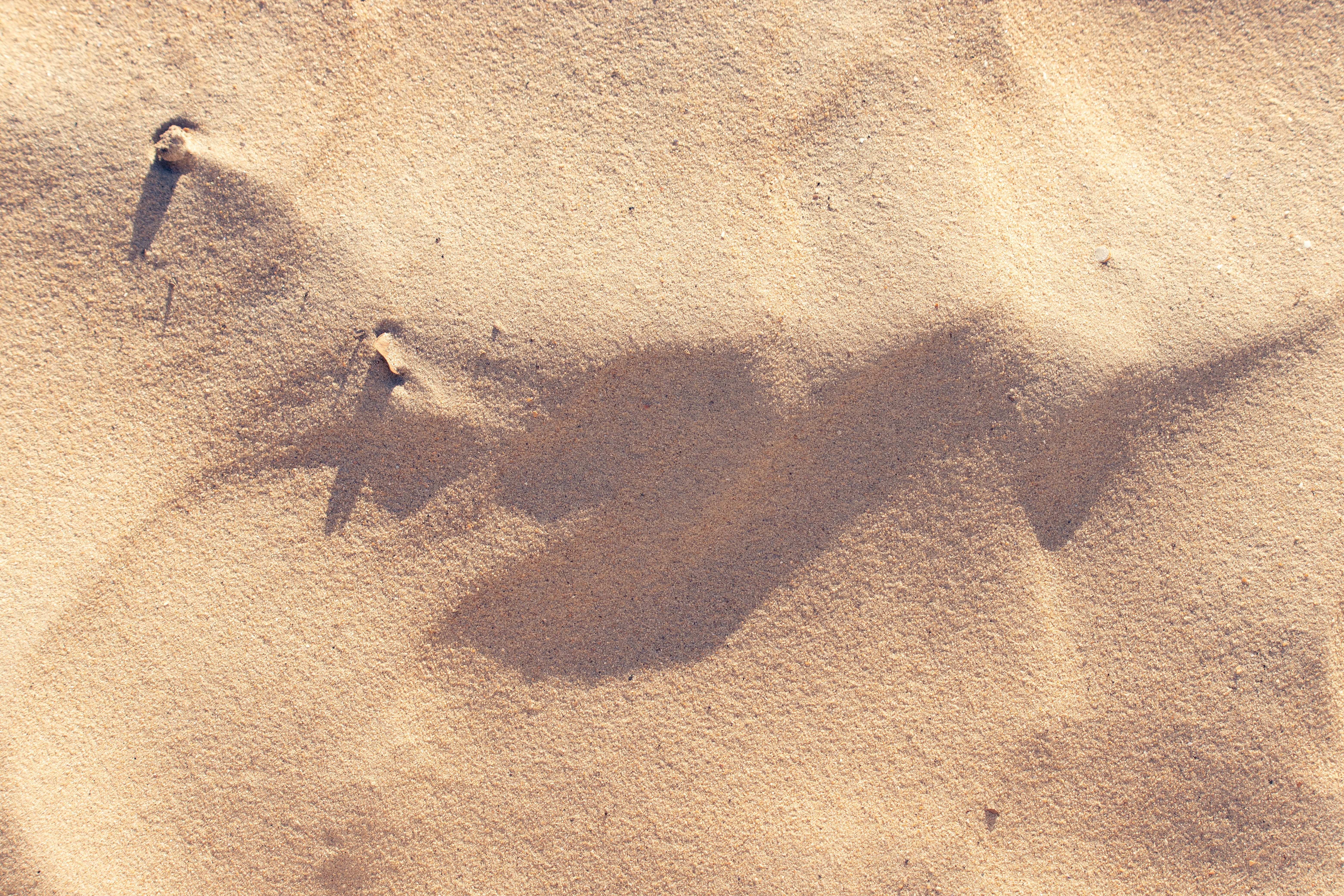 Close-up view of soft, undulating sand patterns with subtle shadows, revealing the intricate textures formed by wind and time.