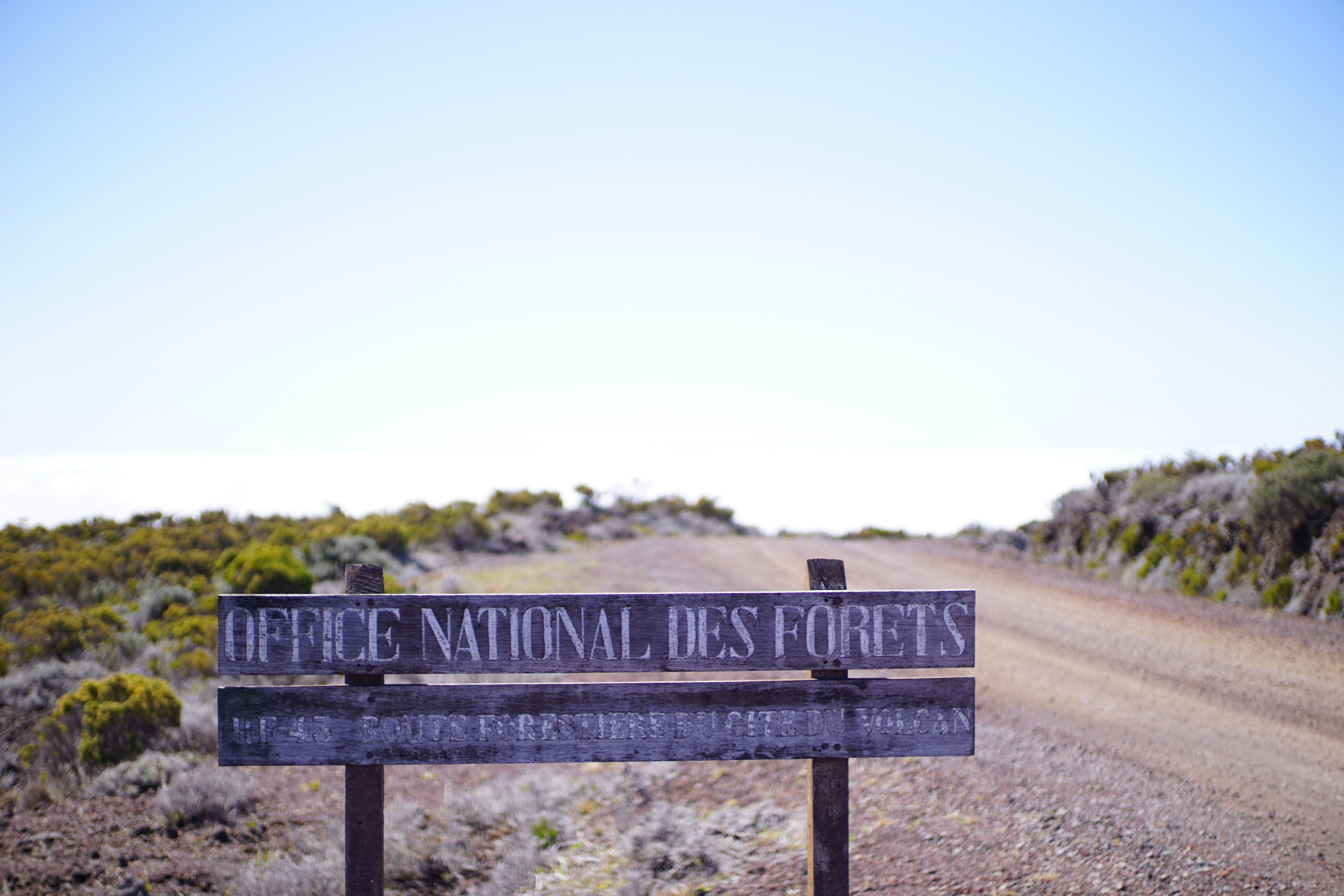 Wooden sign marking the entrance to a national forest office along a gravel road surrounded by lush greenery.
