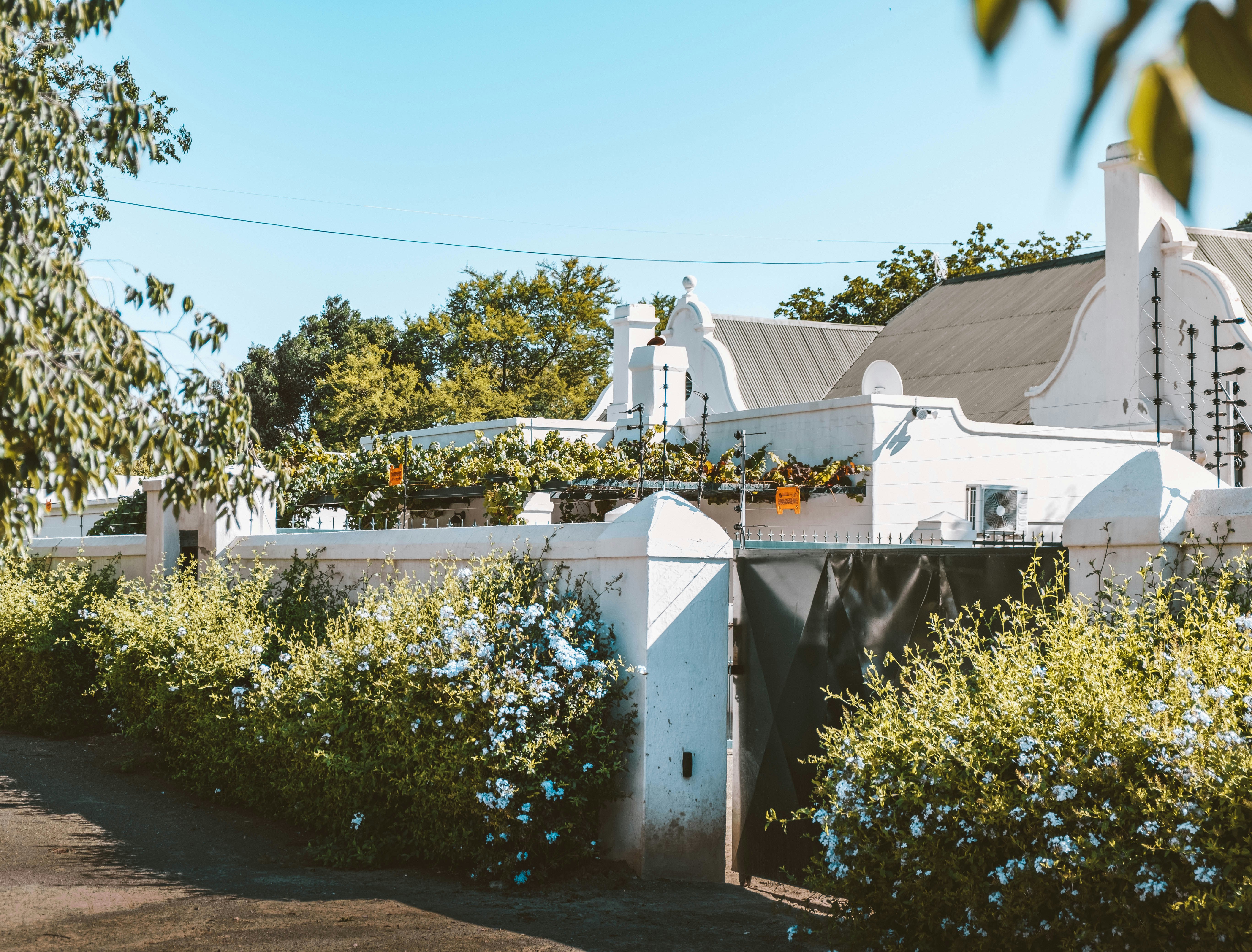 White colonial-style building with a white roof surrounded by lush greenery and flowering shrubs under a clear blue sky.