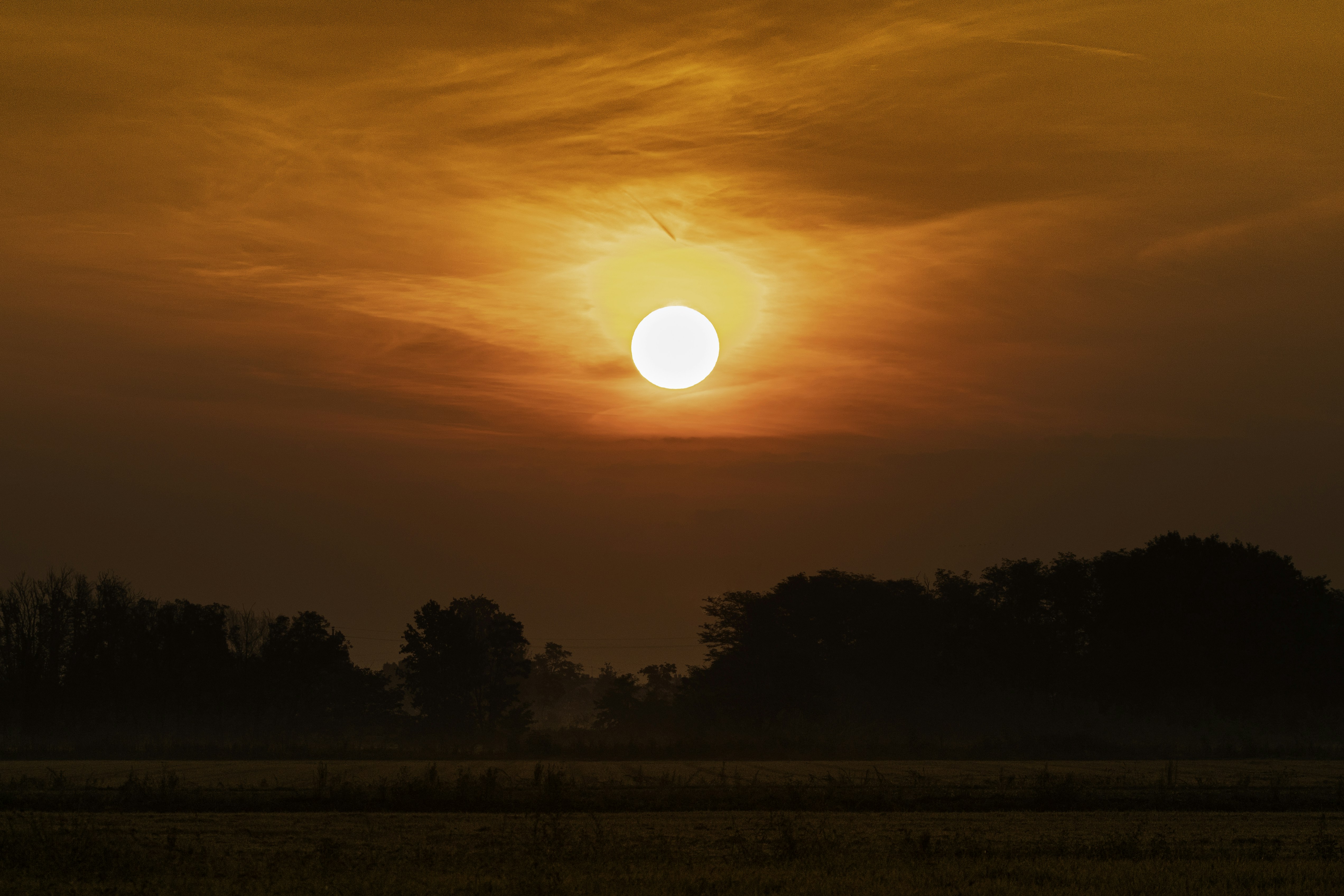 Sunset casting warm hues over a field, silhouetting distant trees.