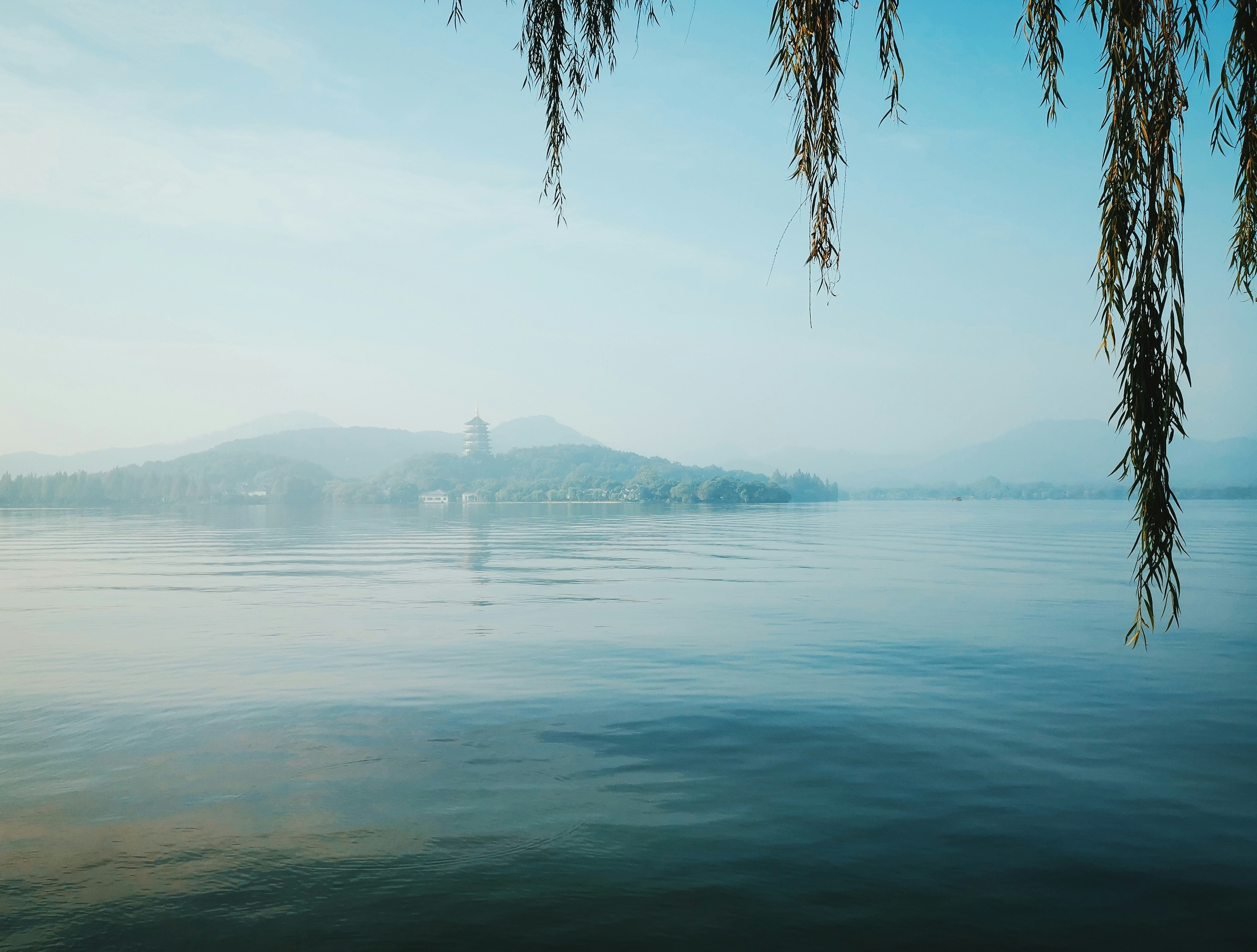 chris paul (@chris_paul) | Comunidad de fotos de Unsplash