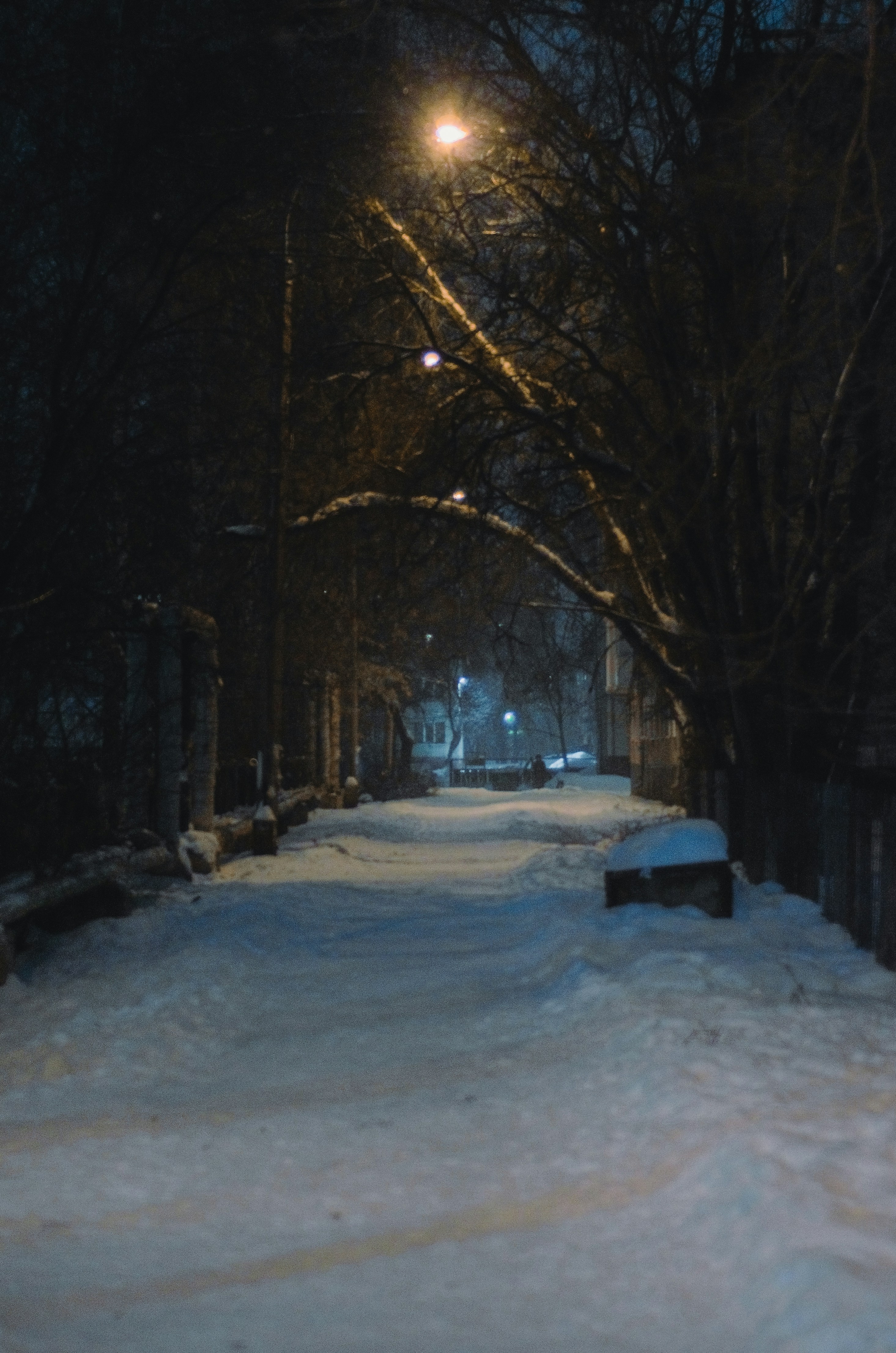 A snowy street at night with a bench in the foreground photo – Free ...