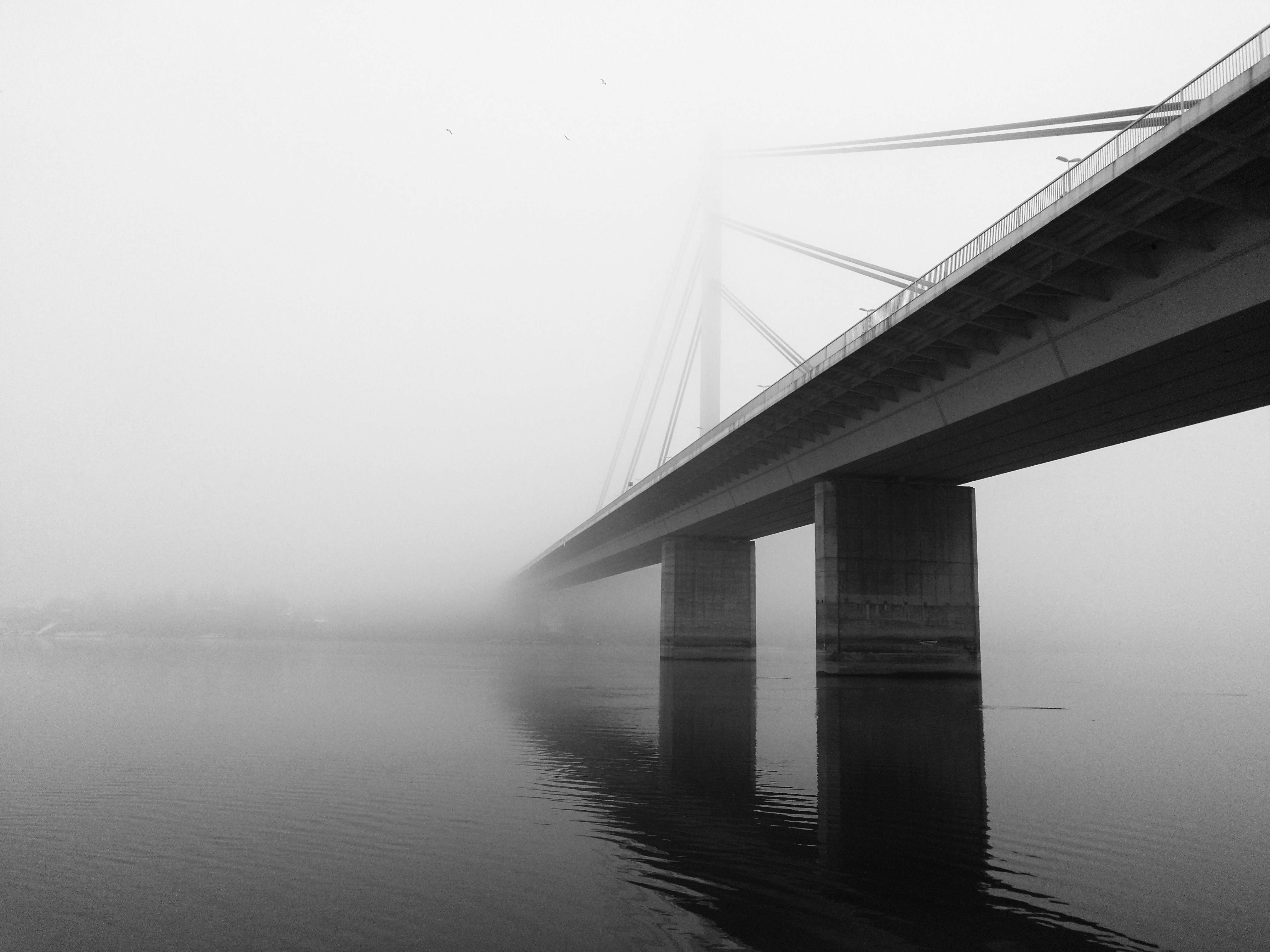A monochromatic scene featuring a bridge shrouded in thick fog, reflected in still waters below.