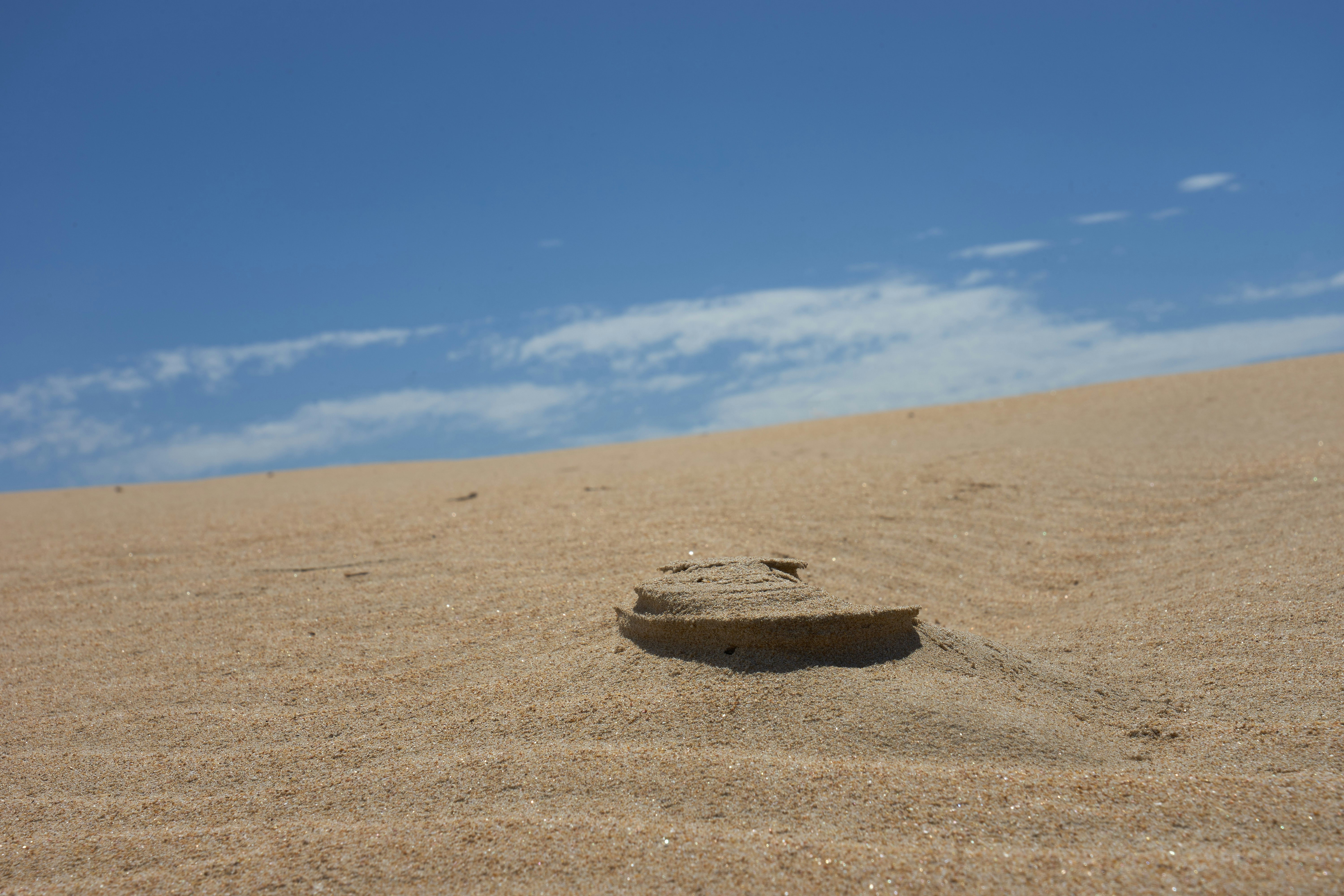 a rock sitting on top of a sandy beach