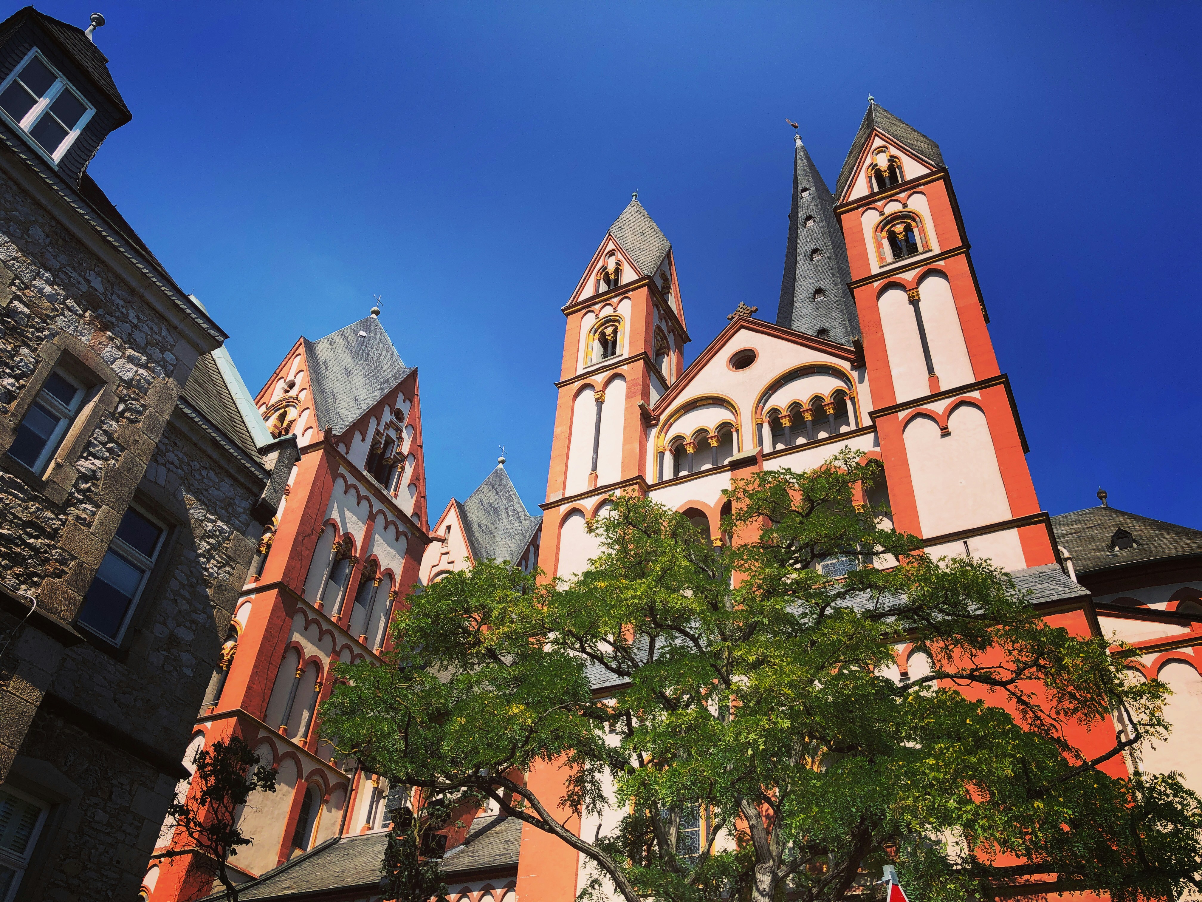 Historic cathedral towers rise against a clear blue sky with vibrant architectural details and lush tree in foreground.