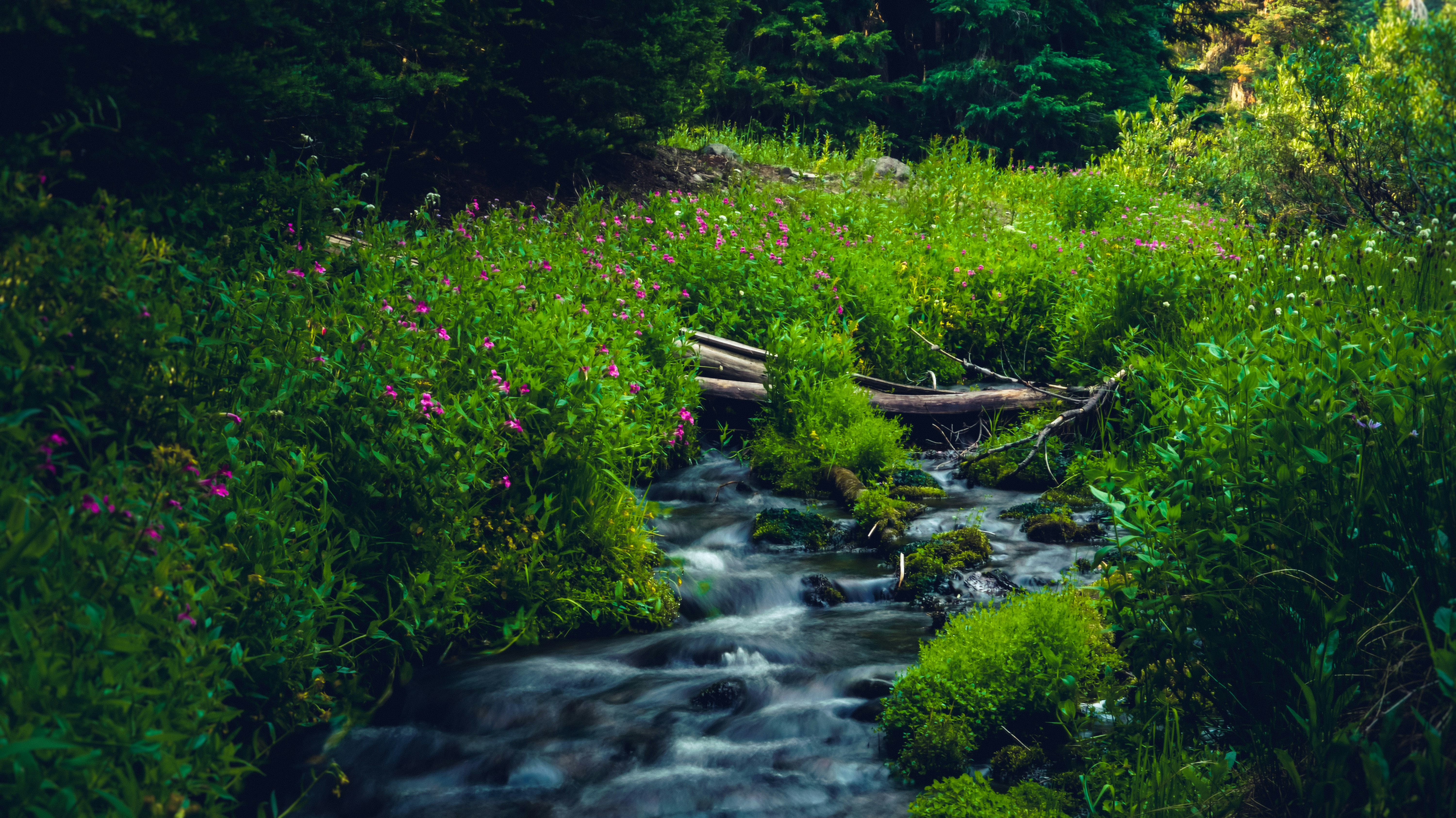 Whispering Stream: A Weathered Rowboat Hidden Among Wildflowers