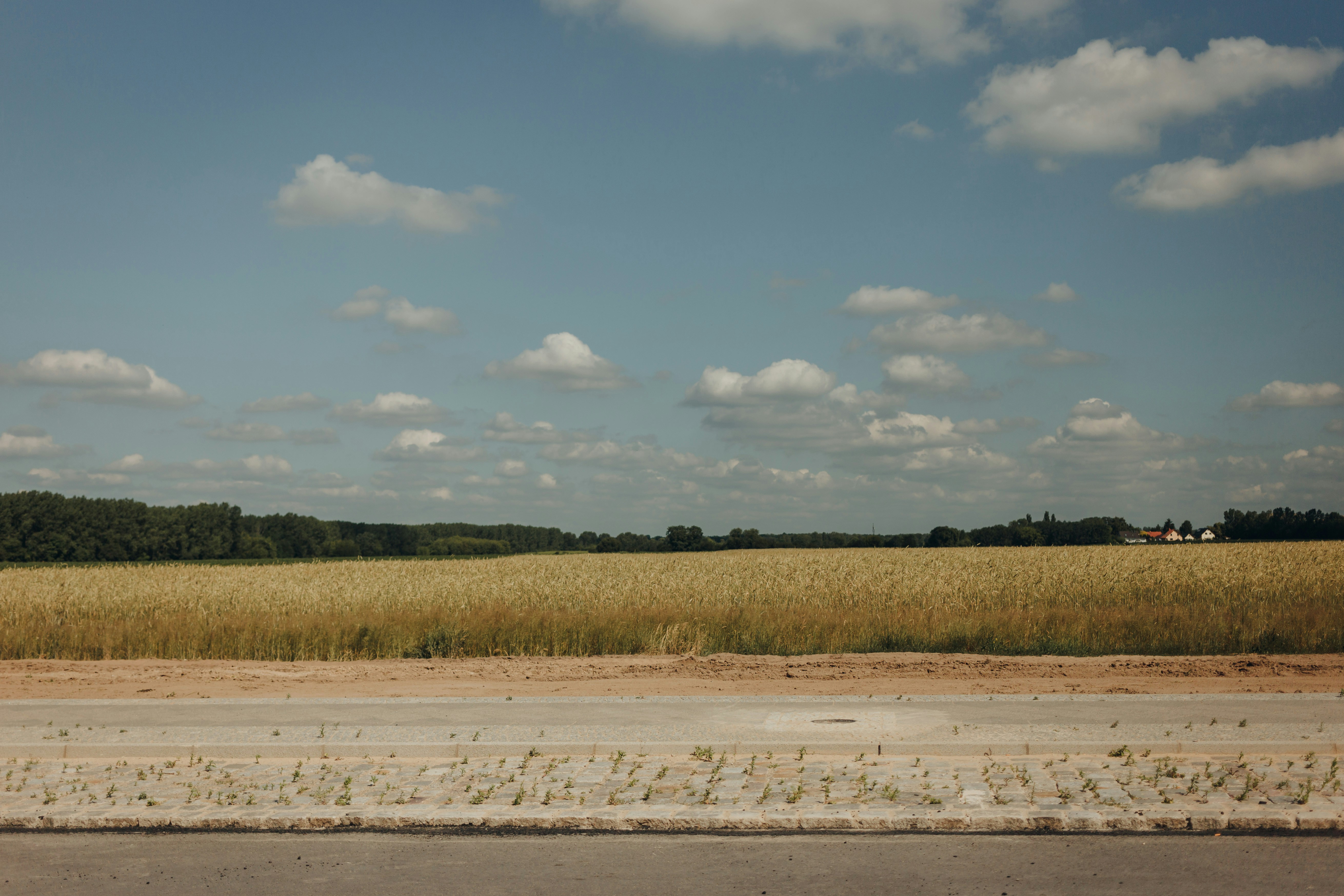 a large field of grass next to a road