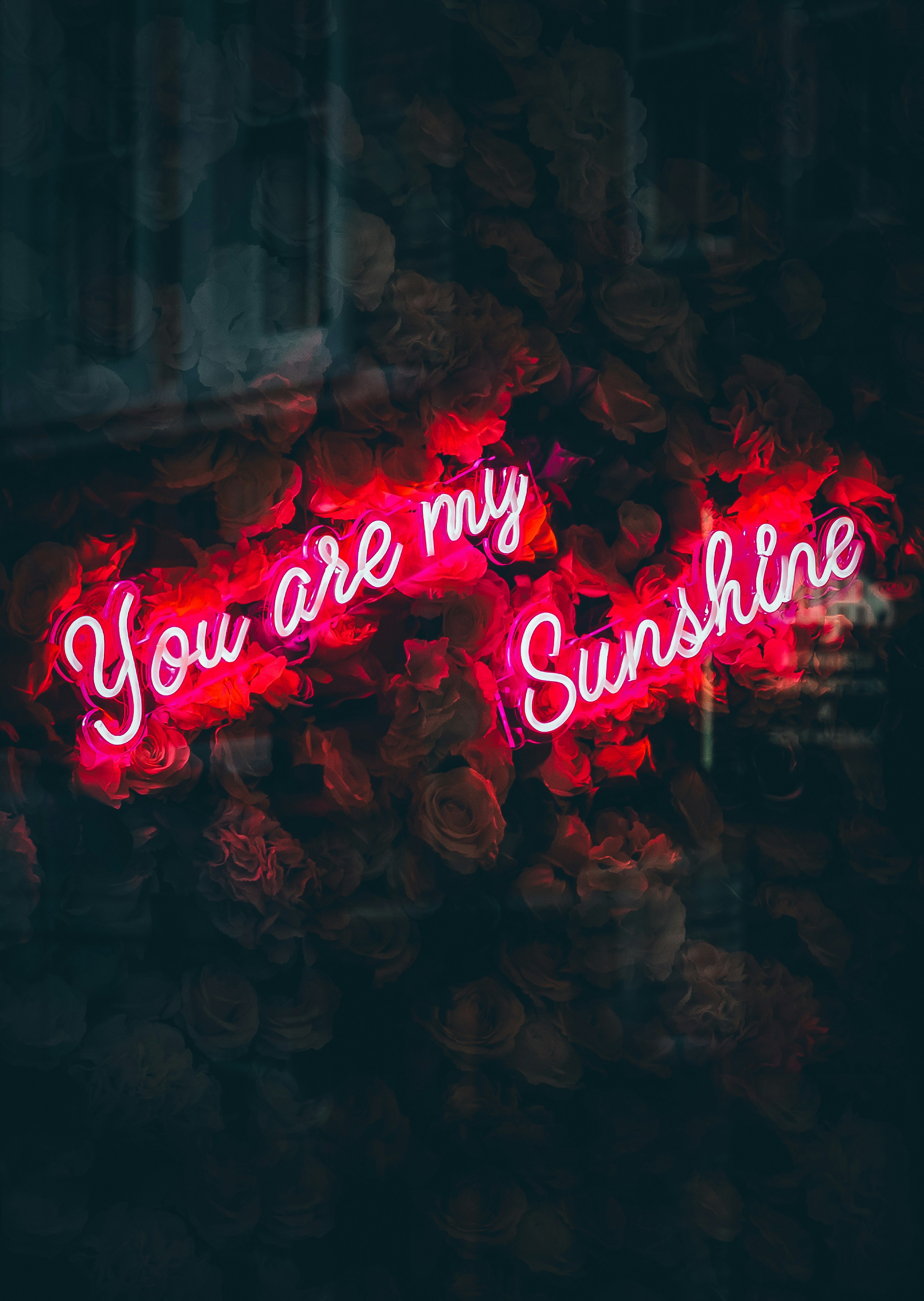 Neon Script Framed by Velvet Roses