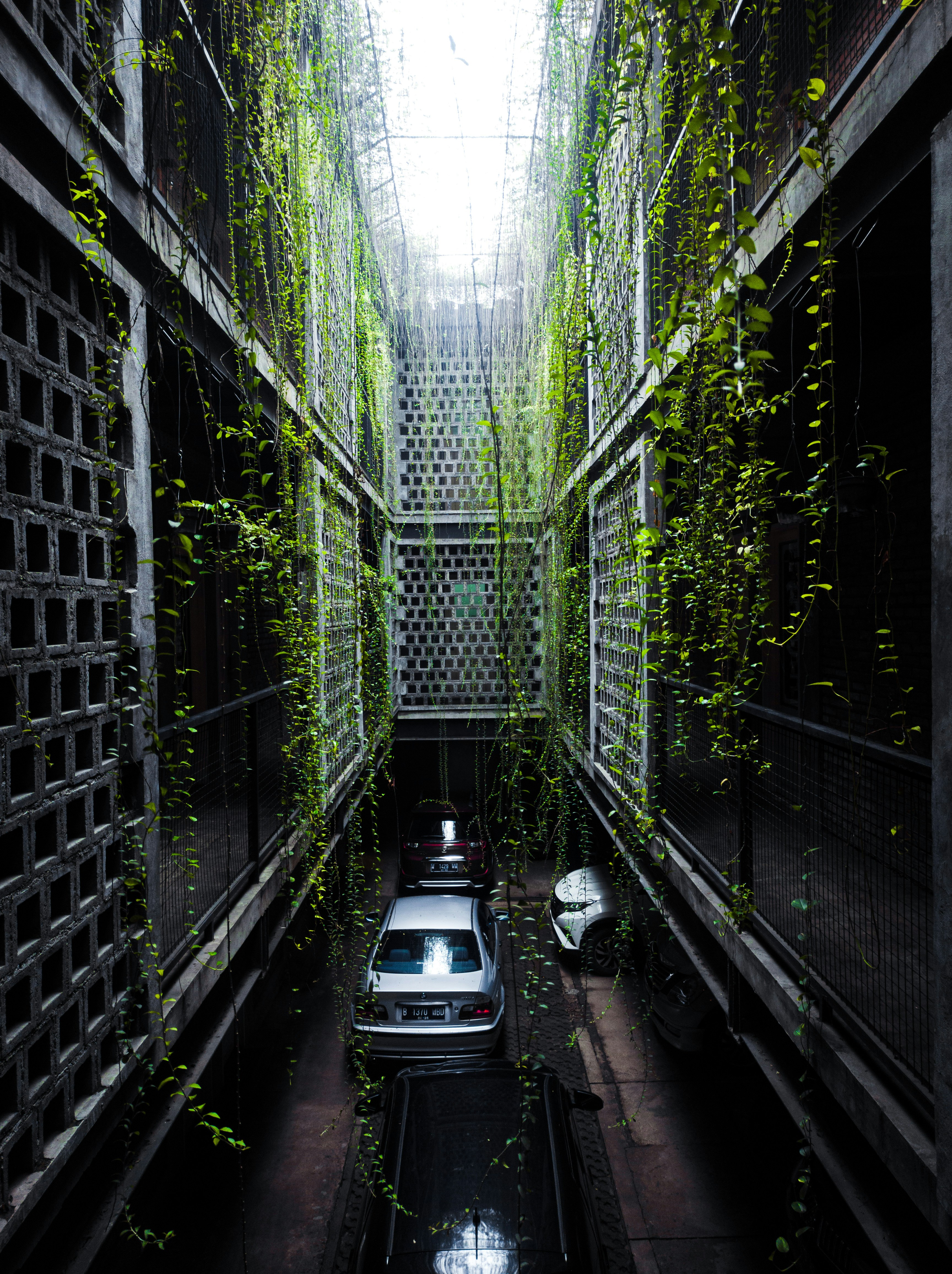 Photograph of a narrow, vine-draped parking atrium with cars lined along the lower level beneath a bright skylight.