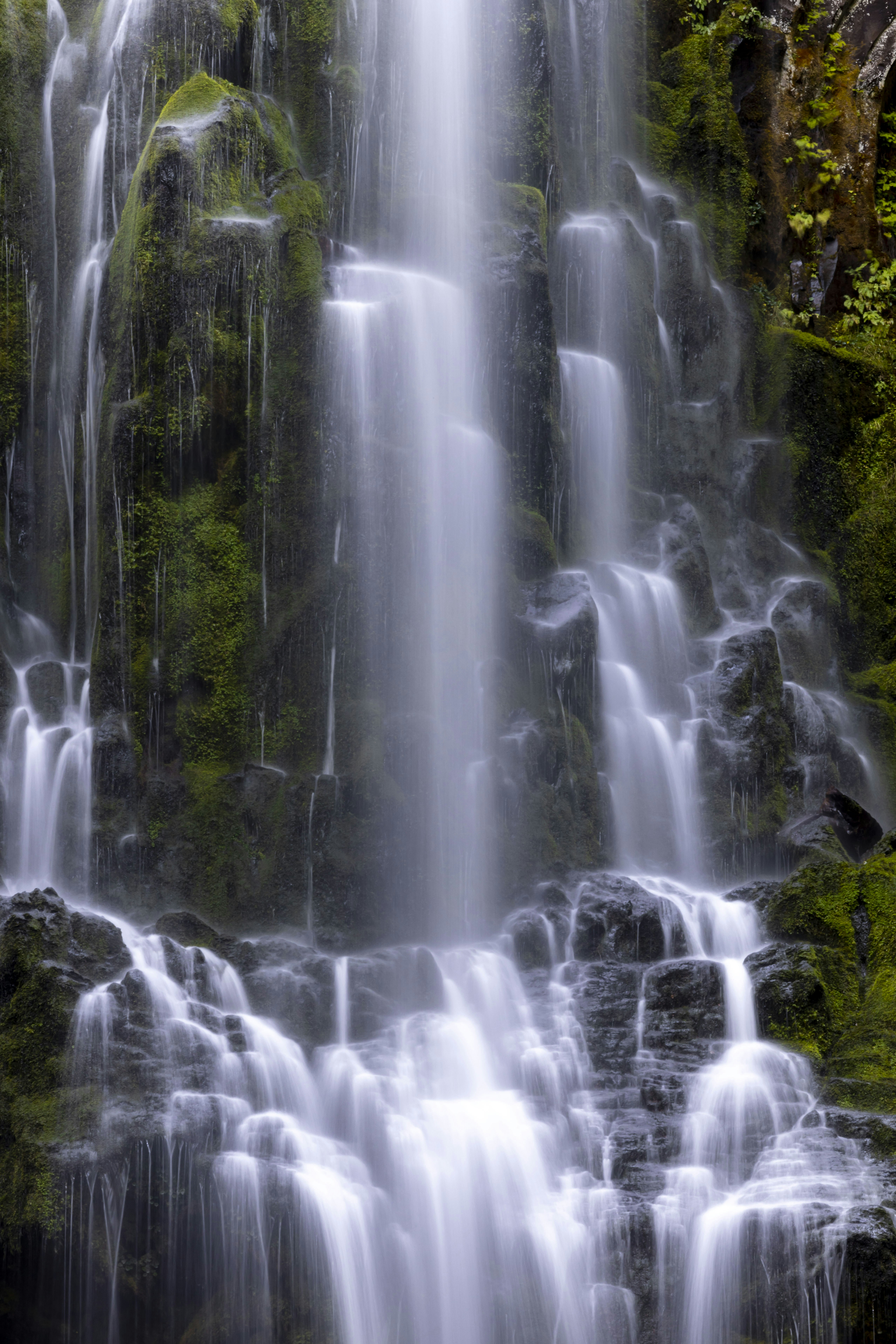 A very tall waterfall in the middle of a forest photo – Free Adventure ...