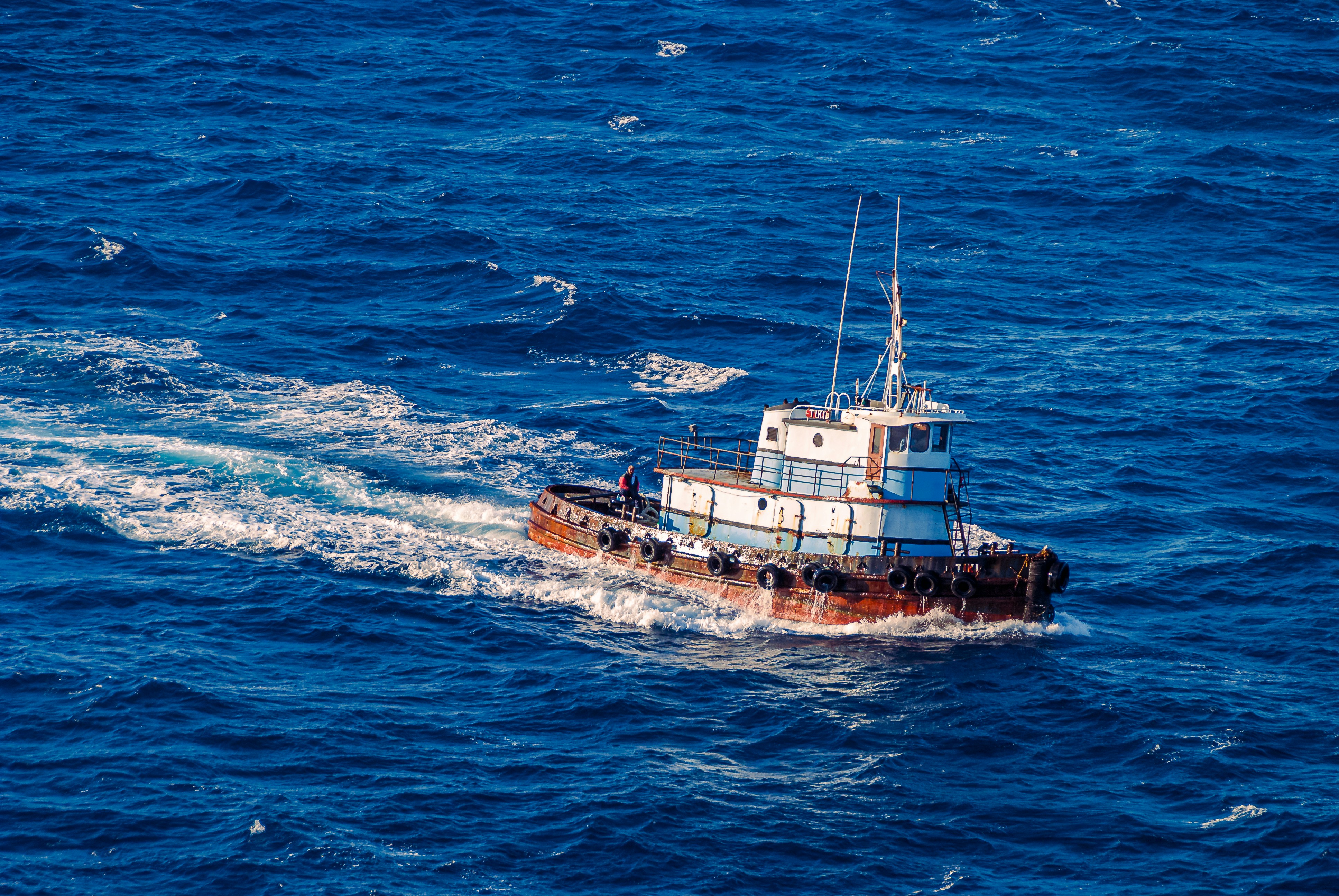 Wake Pictures | Download Free Images on Unsplash