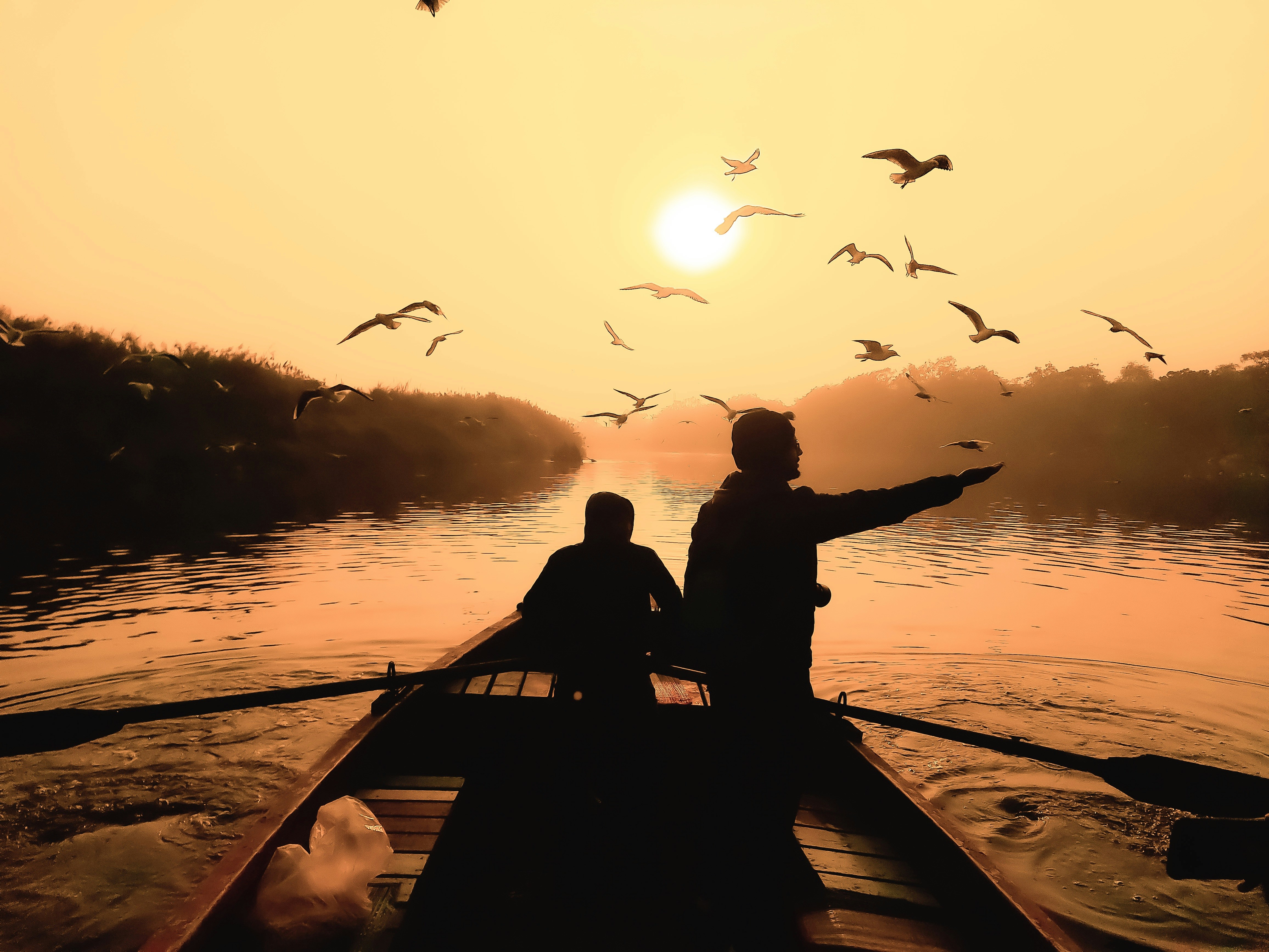 Two Silent Rowers at Sundown: A Quiet River Scene with a Flying Flock