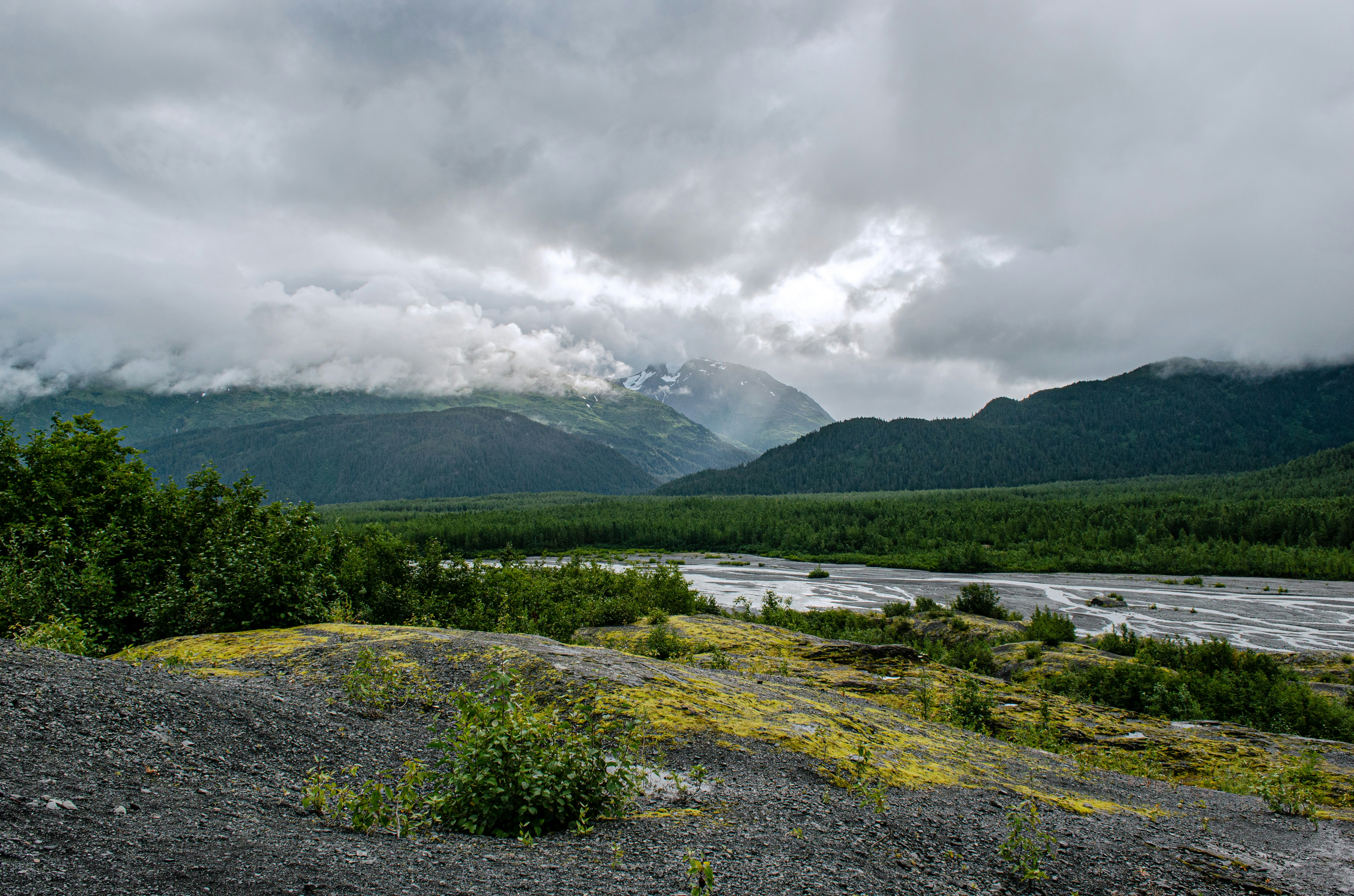 Lush green landscape with a winding river beneath a cloudy sky, showcasing the serene beauty of nature. The scene captures the essence of a remote wilderness area.