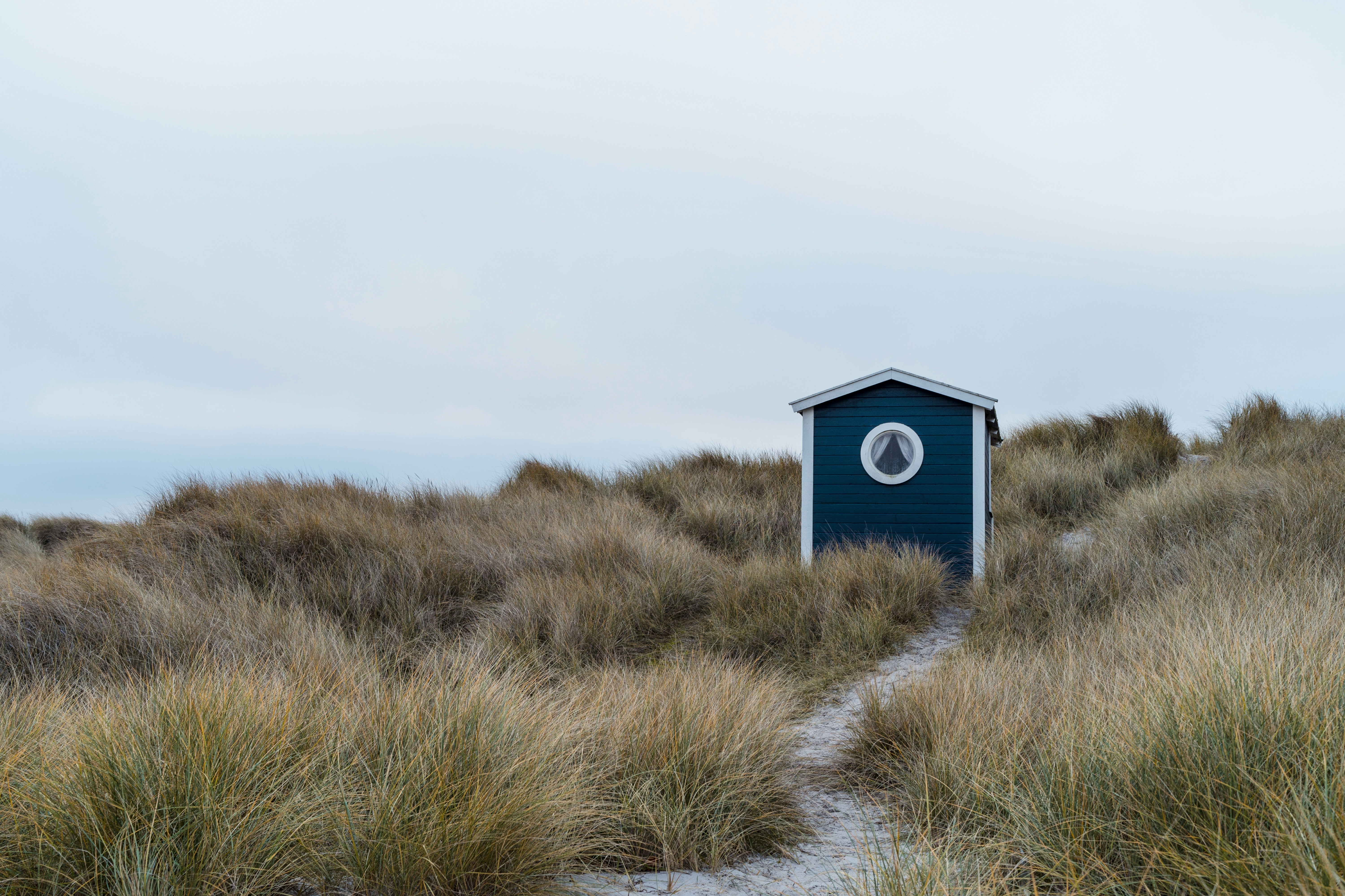 A blue outhouse in the middle of a grassy field photo – Free Falsterbo ...