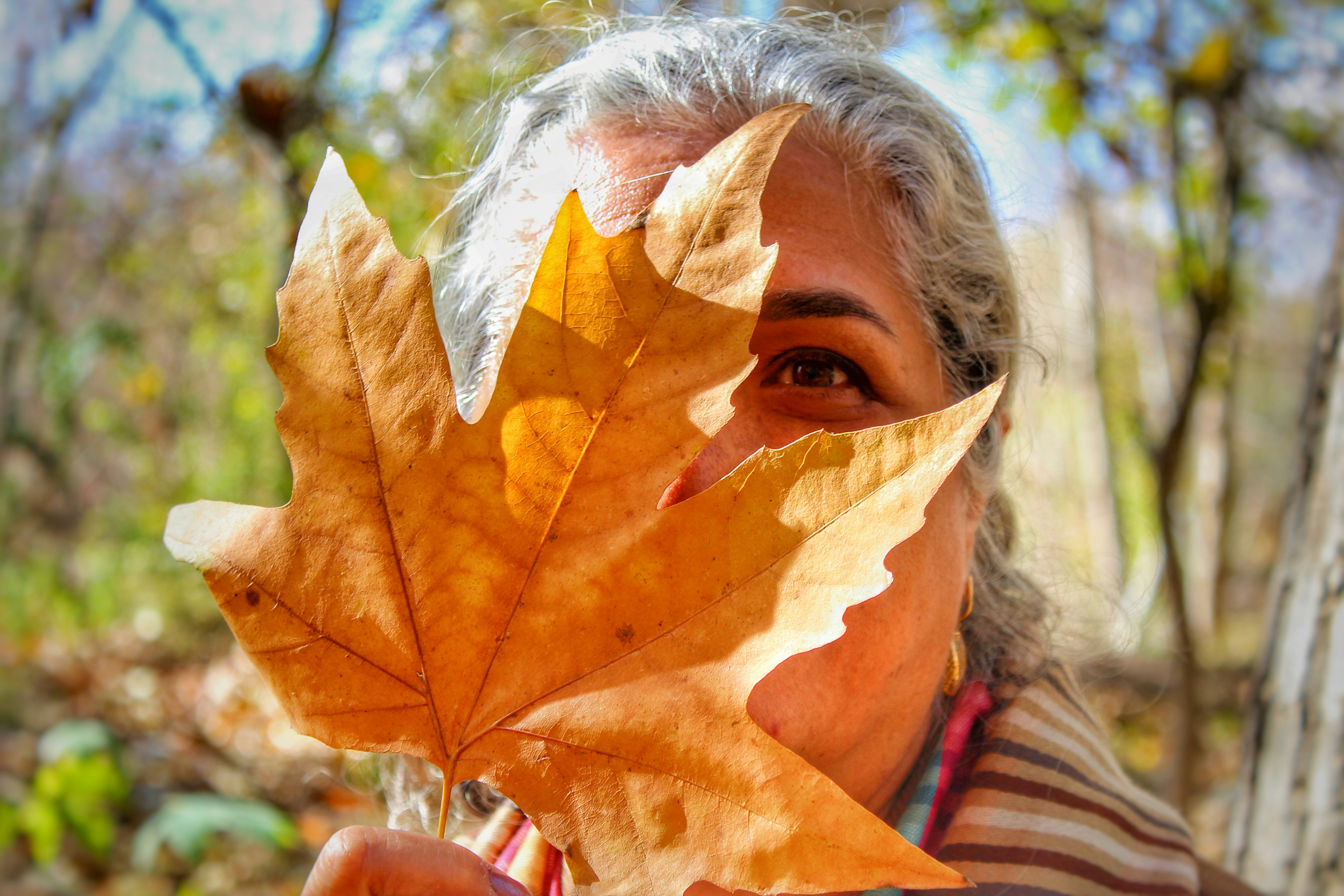 Nature's Veil: A Moment of Autumn Reflection