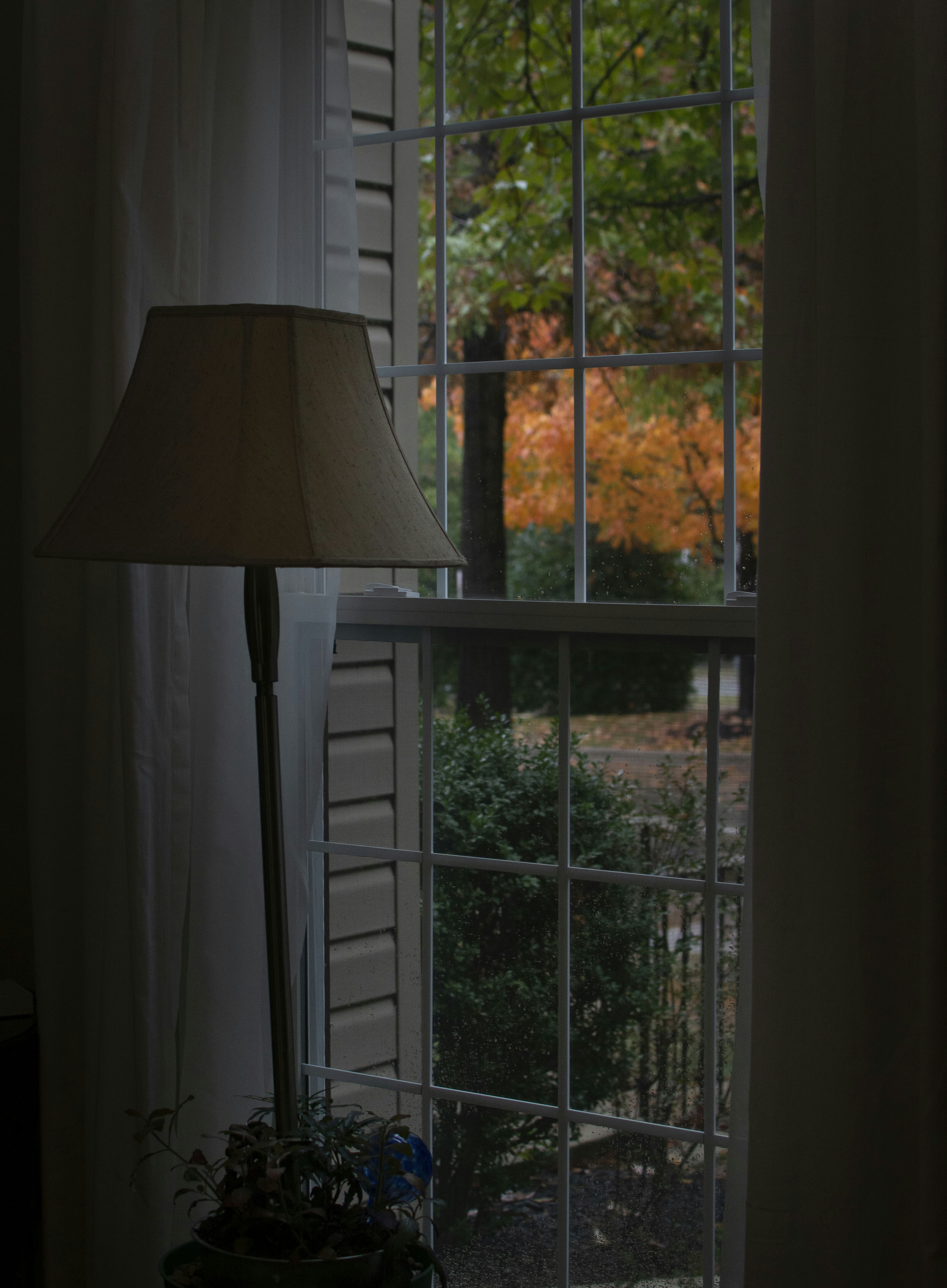 A cozy room scene featuring a lamp beside a window, framing vibrant autumn foliage outside. The soft glow of the lamp contrasts with the colorful leaves beyond.