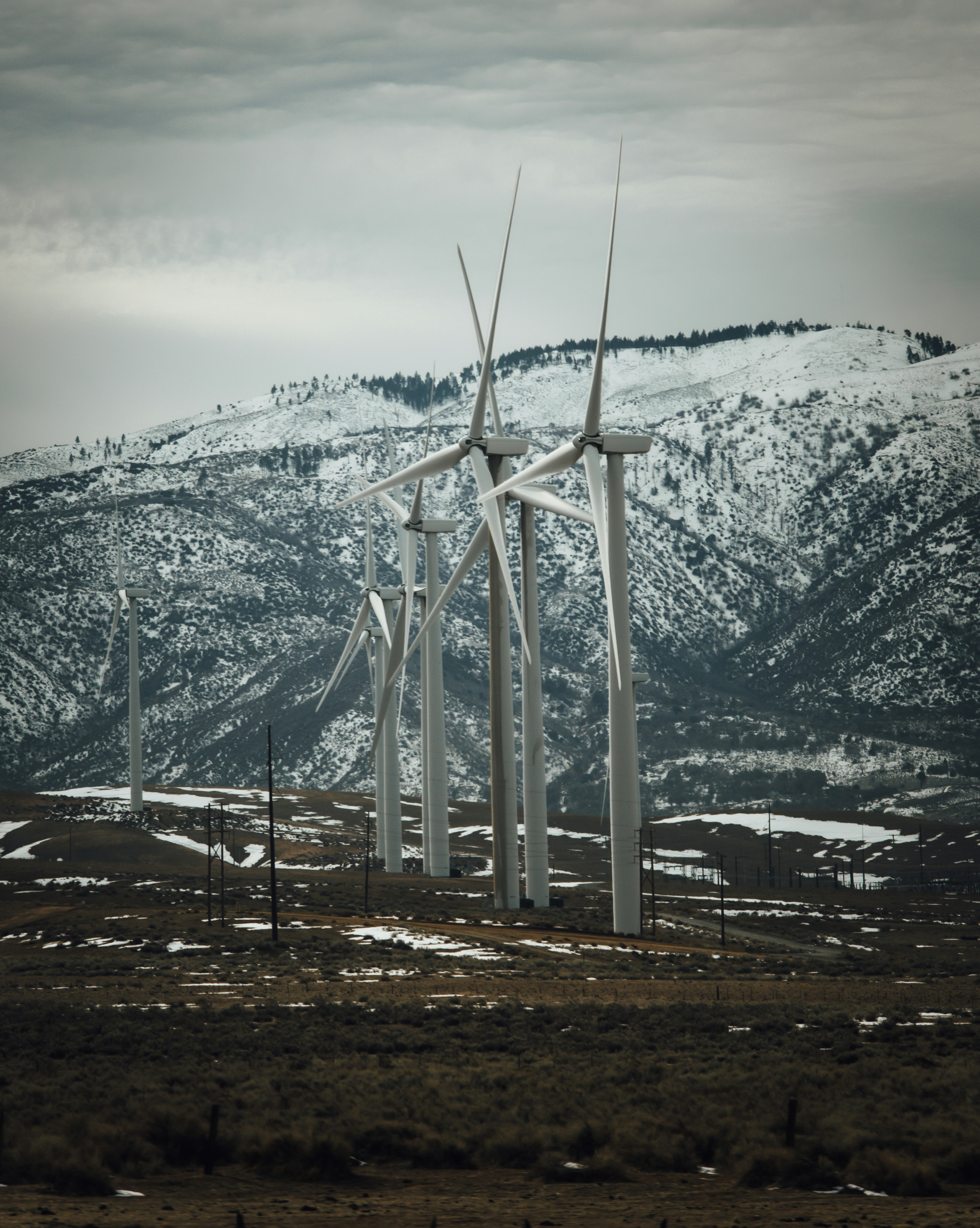 A group of windmills in a field with a mountain in the background photo ...