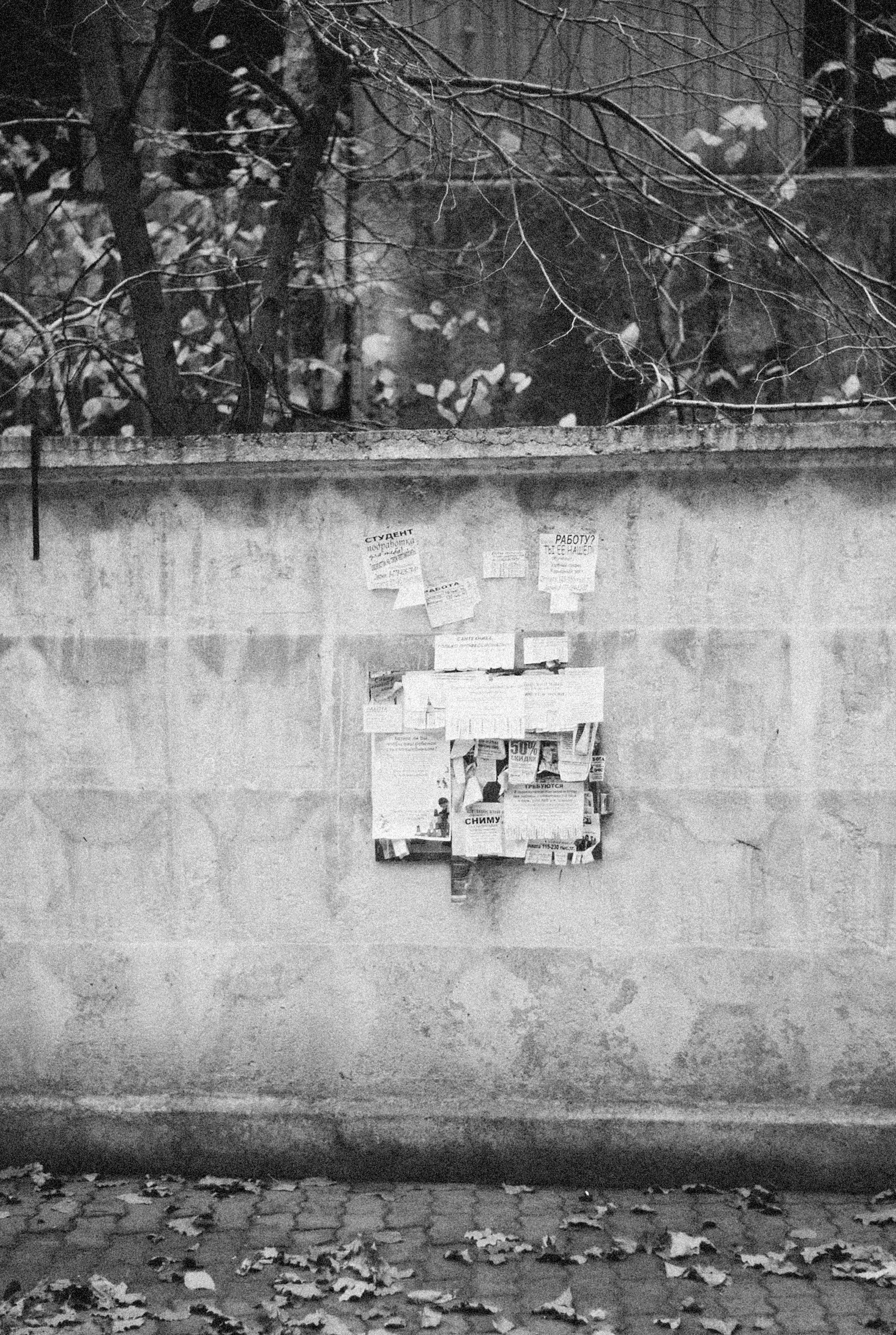 A black and white photo of a wall with a bunch of papers on it photo ...