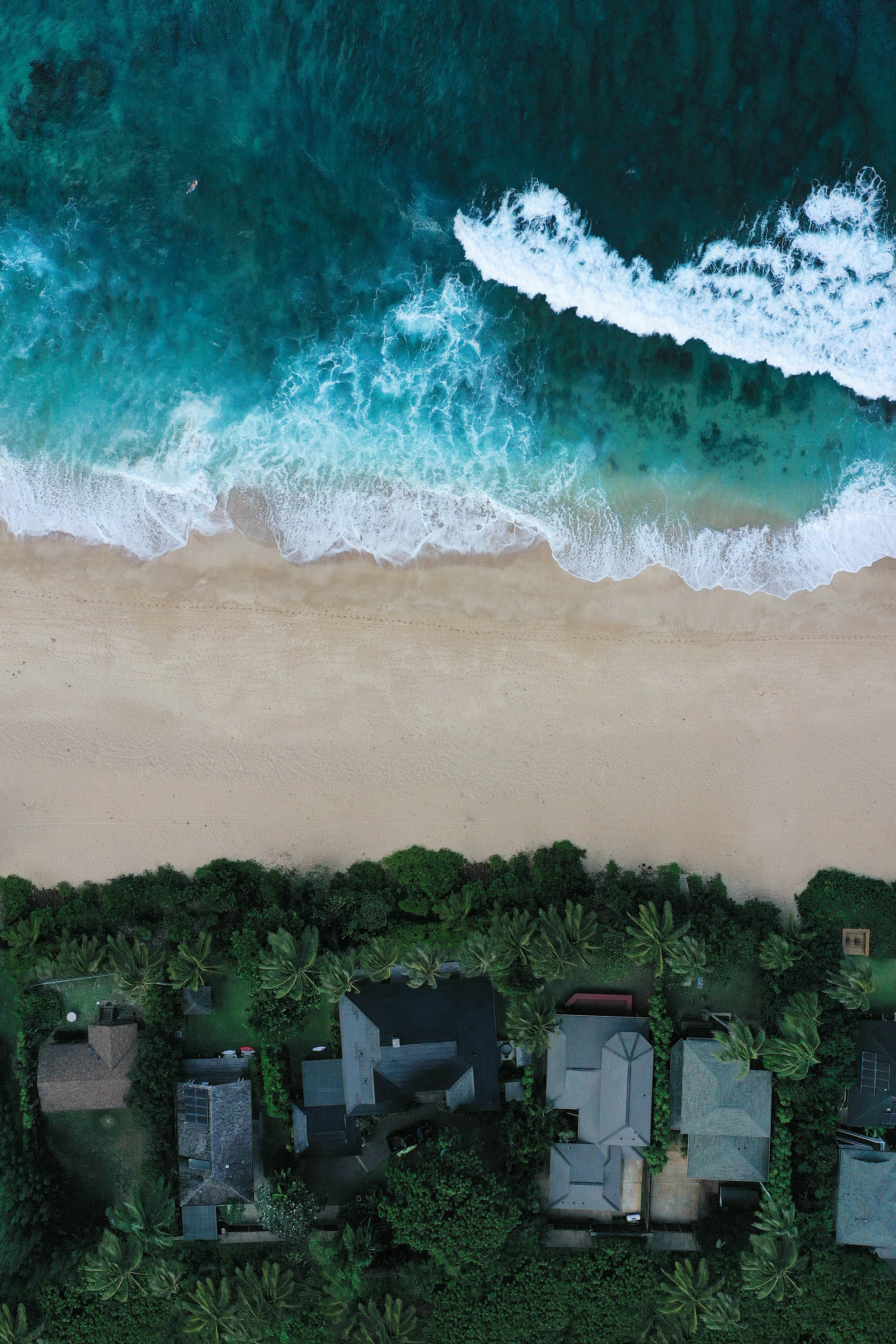Turquoise Shoreline: An Aerial Drift over Wave-Foamed Beach and Palm-Lined Homes