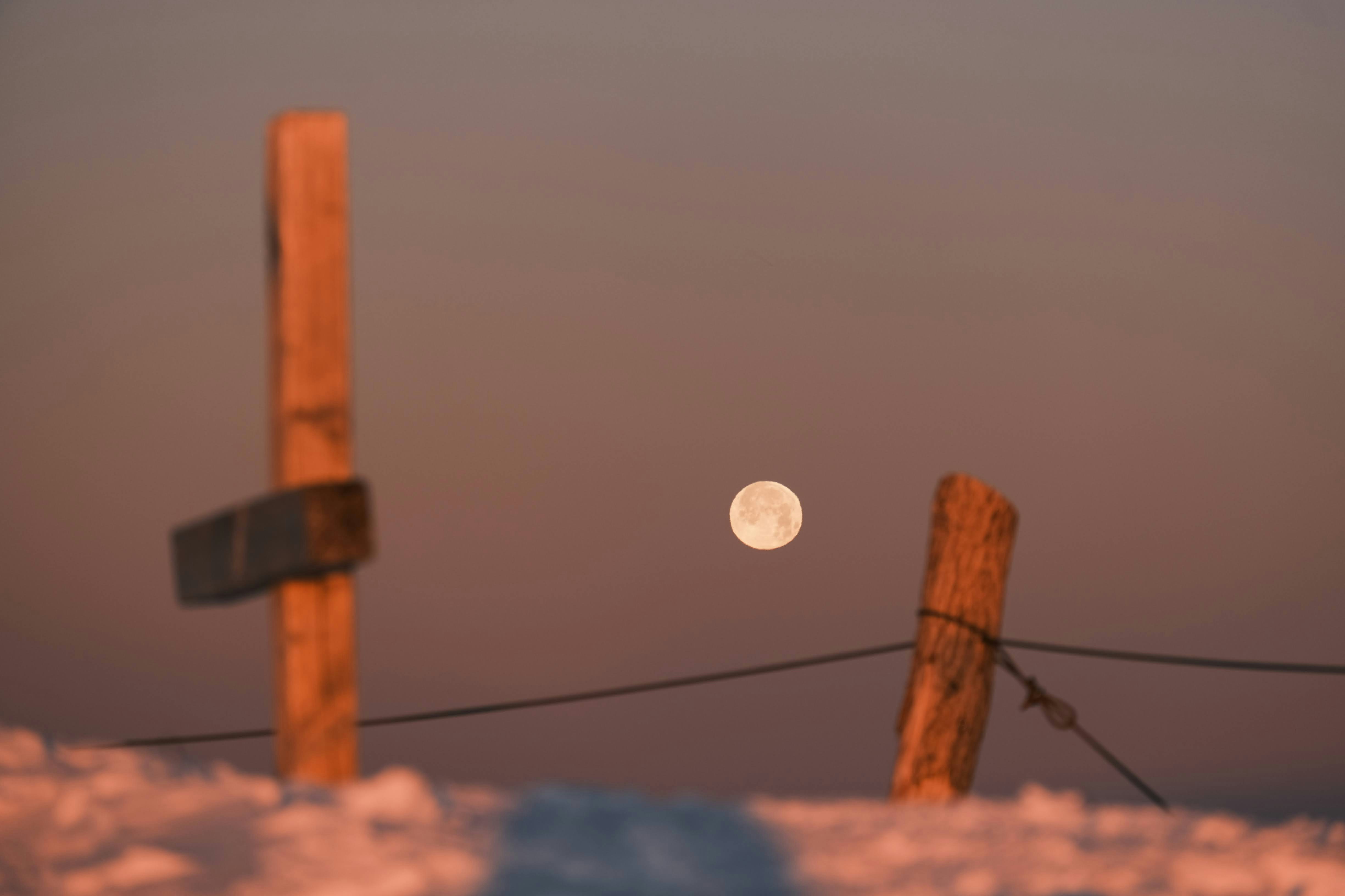 Two wooden posts silhouetted against a twilight sky, with a full moon rising in the background.