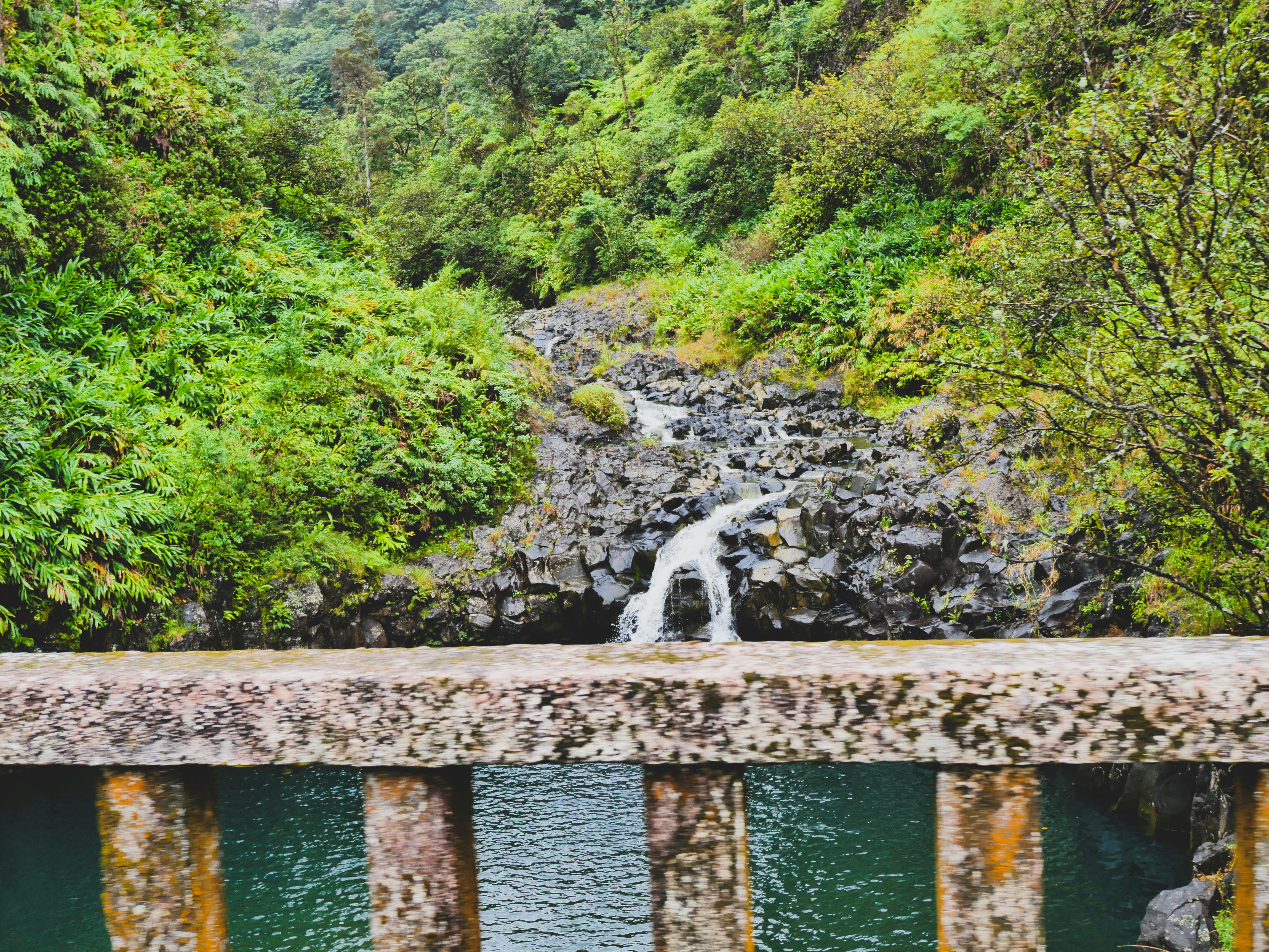 A small waterfall in the middle of a forest photo – Free Waterfall ...
