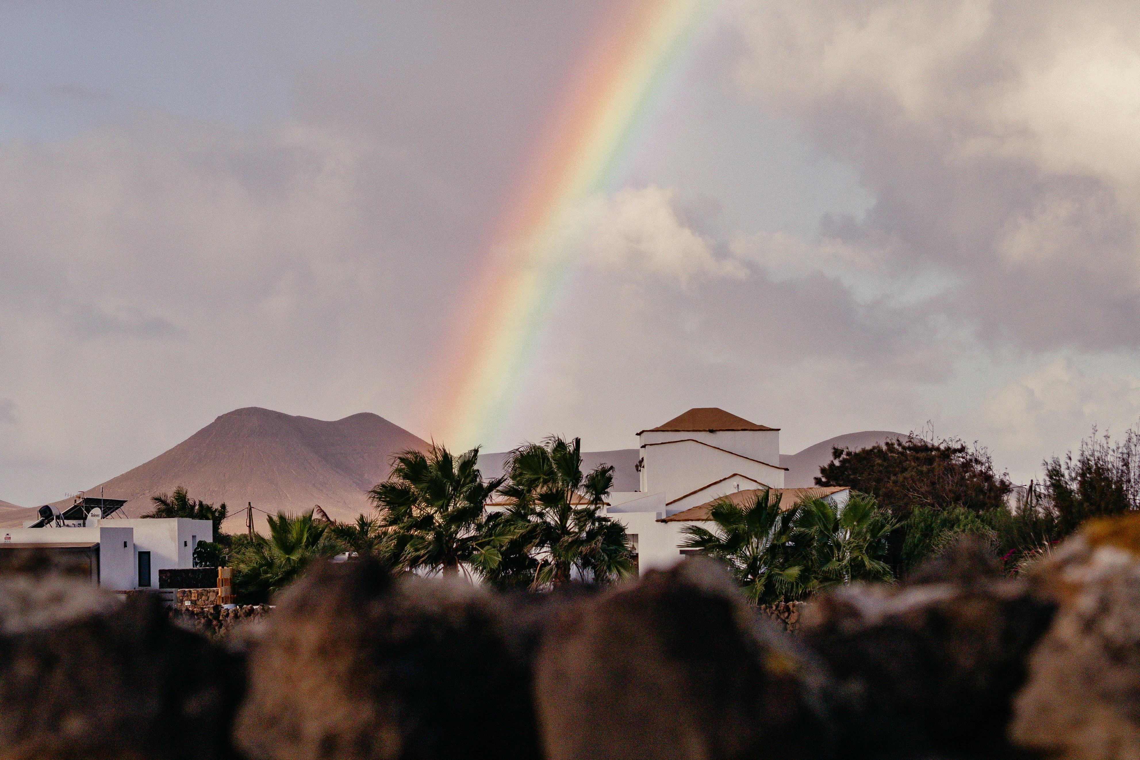 Bold rainbow arches over distant hills and white buildings, framed by lush palm trees.