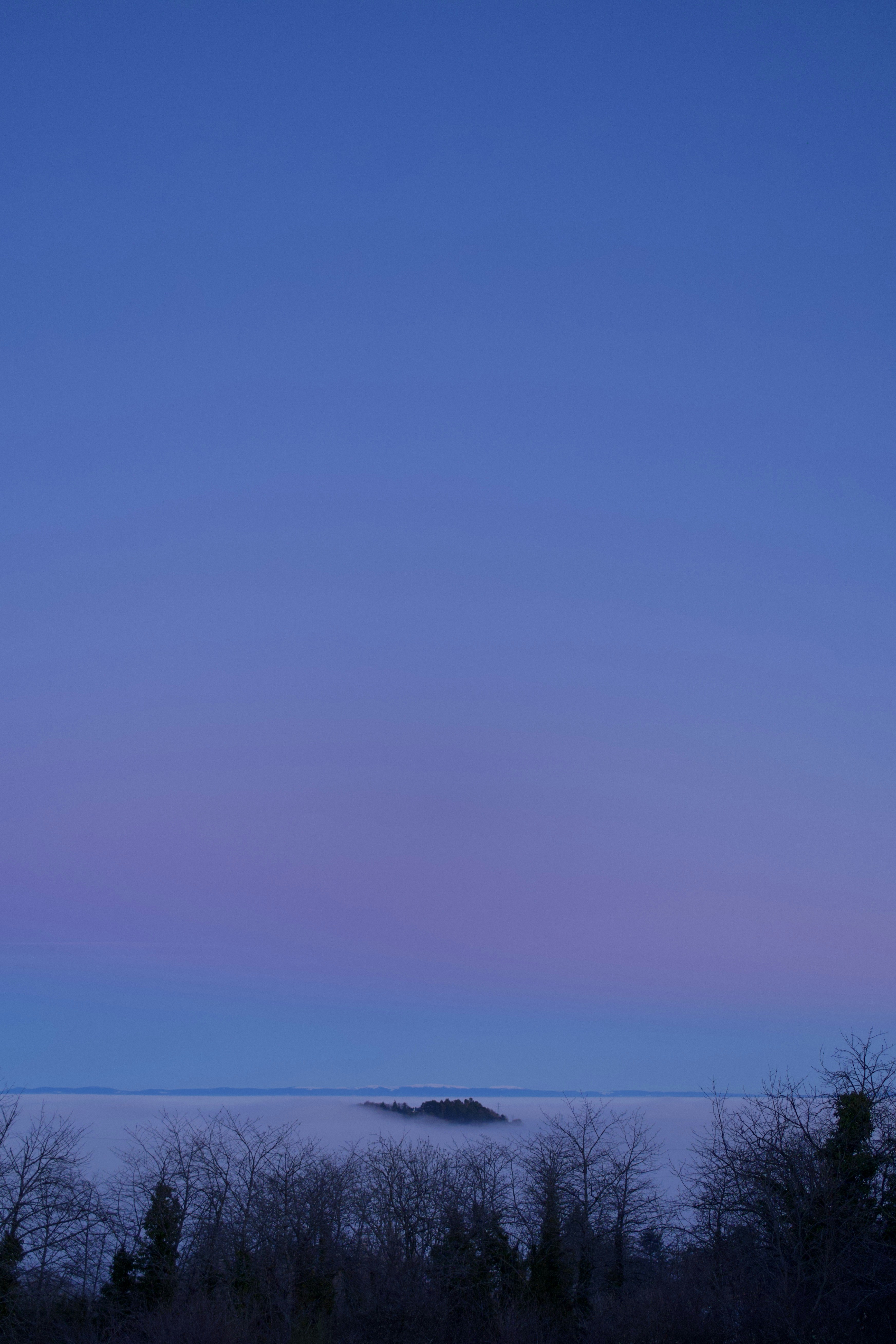 A serene landscape featuring a distant island shrouded in fog beneath a gradient twilight sky. The silhouette of trees frames the scene elegantly.