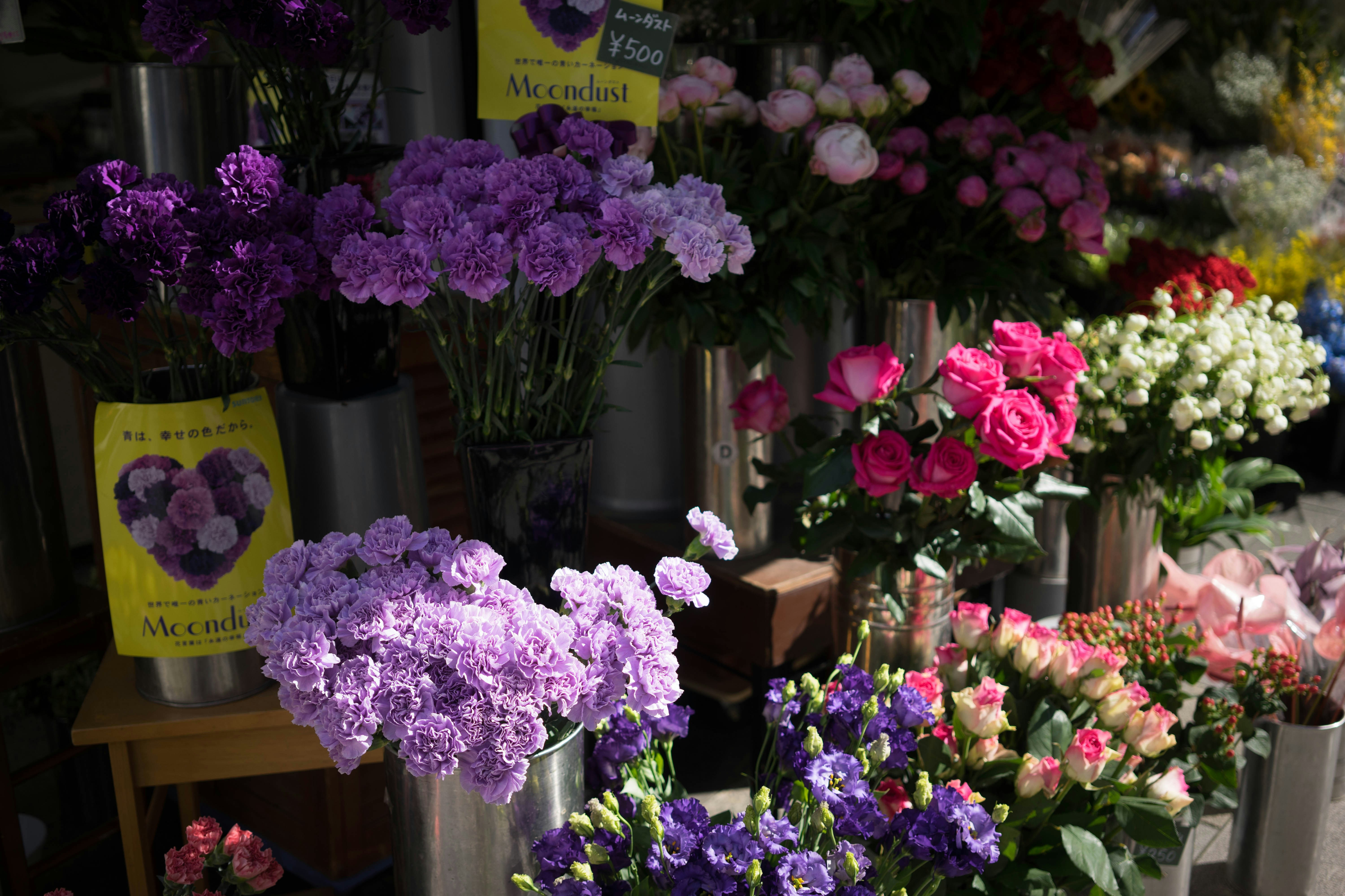 Lilac Cascade at a Florist Stand