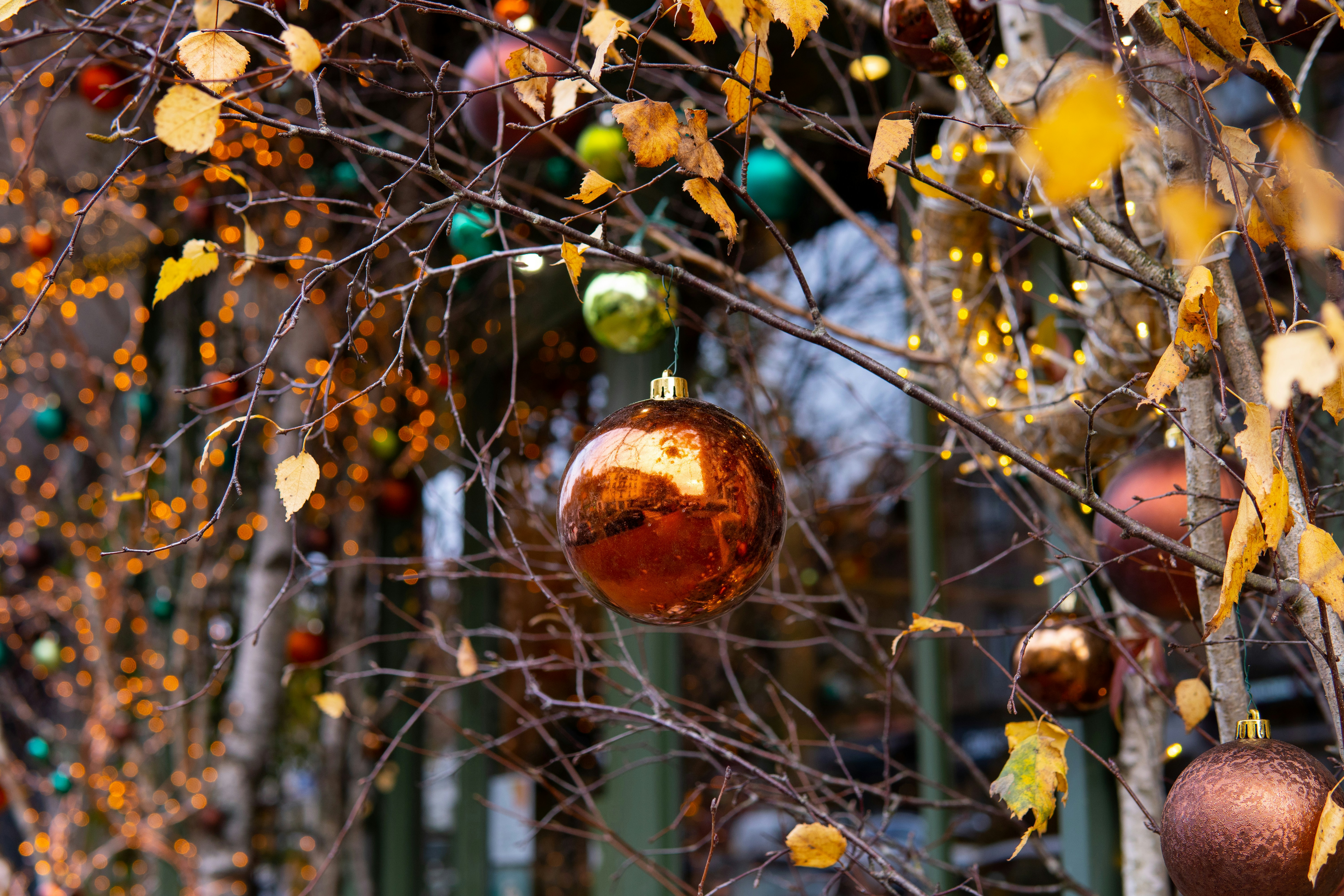 Copper Orb in a Halo of Autumn Leaves and Holiday Lights
