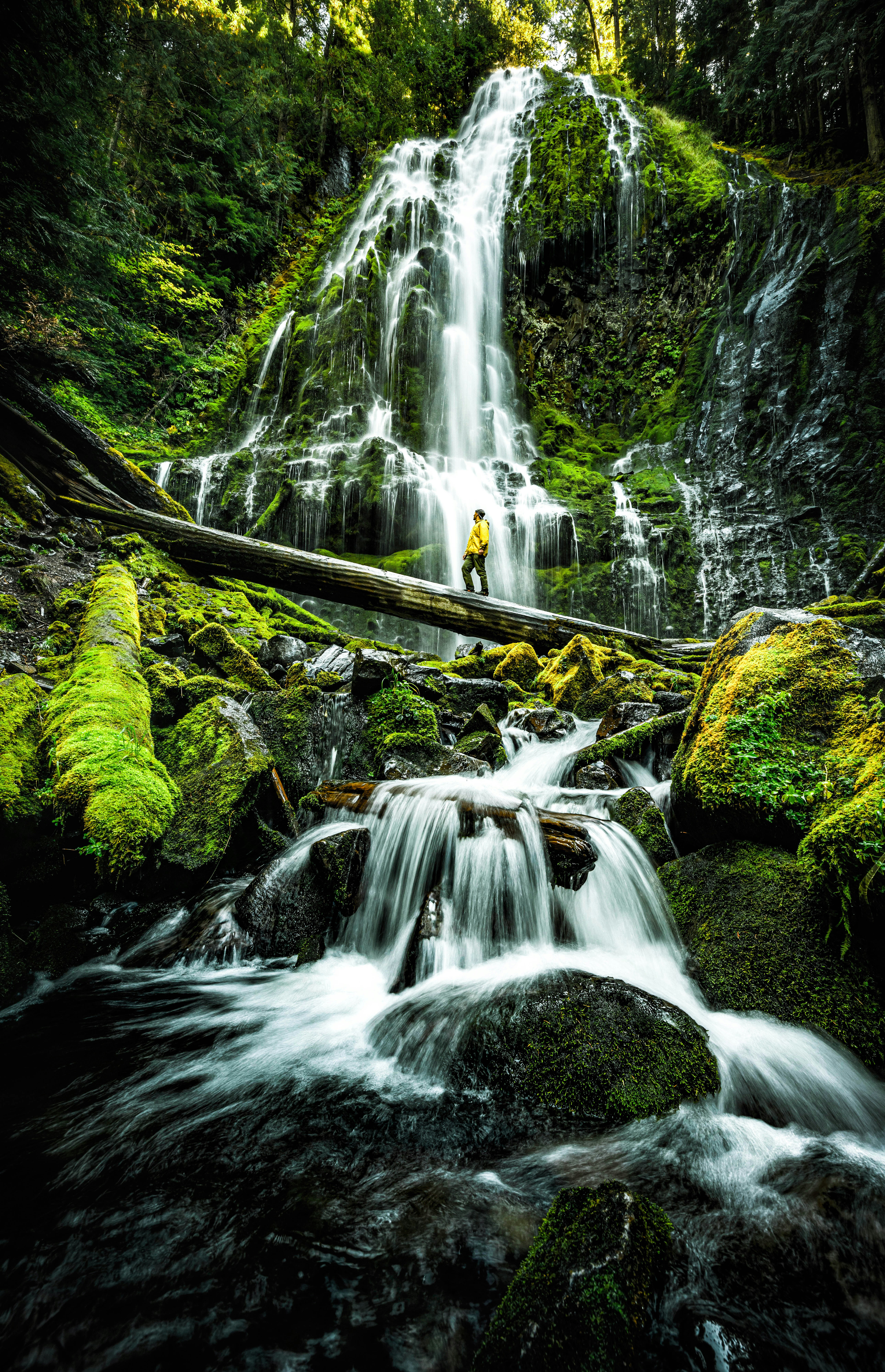 Un homme debout devant une cascade photo – Photo Norvegesi Gratuite sur ...