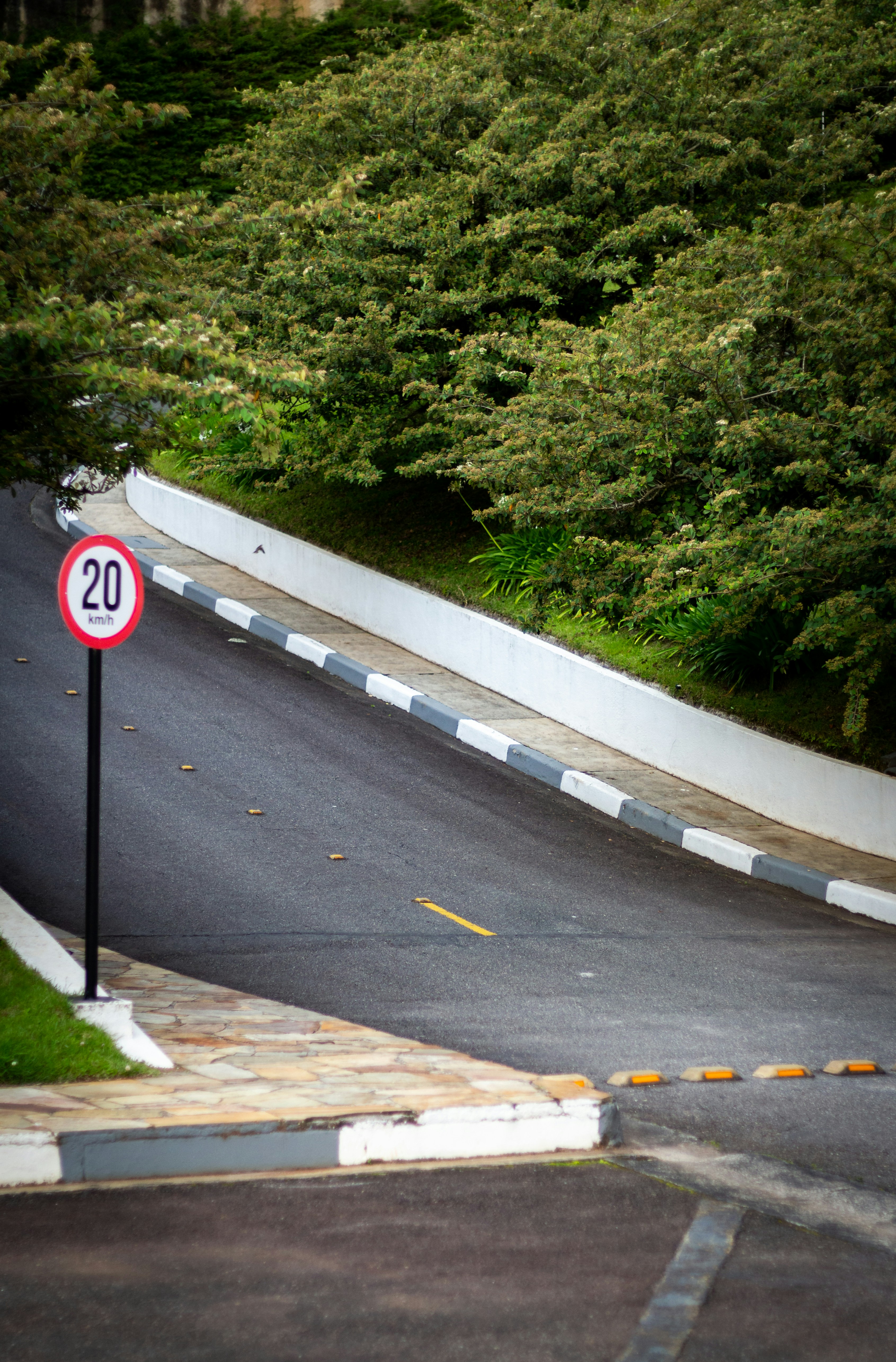 A red and white street sign sitting on the side of a road photo – Free ...