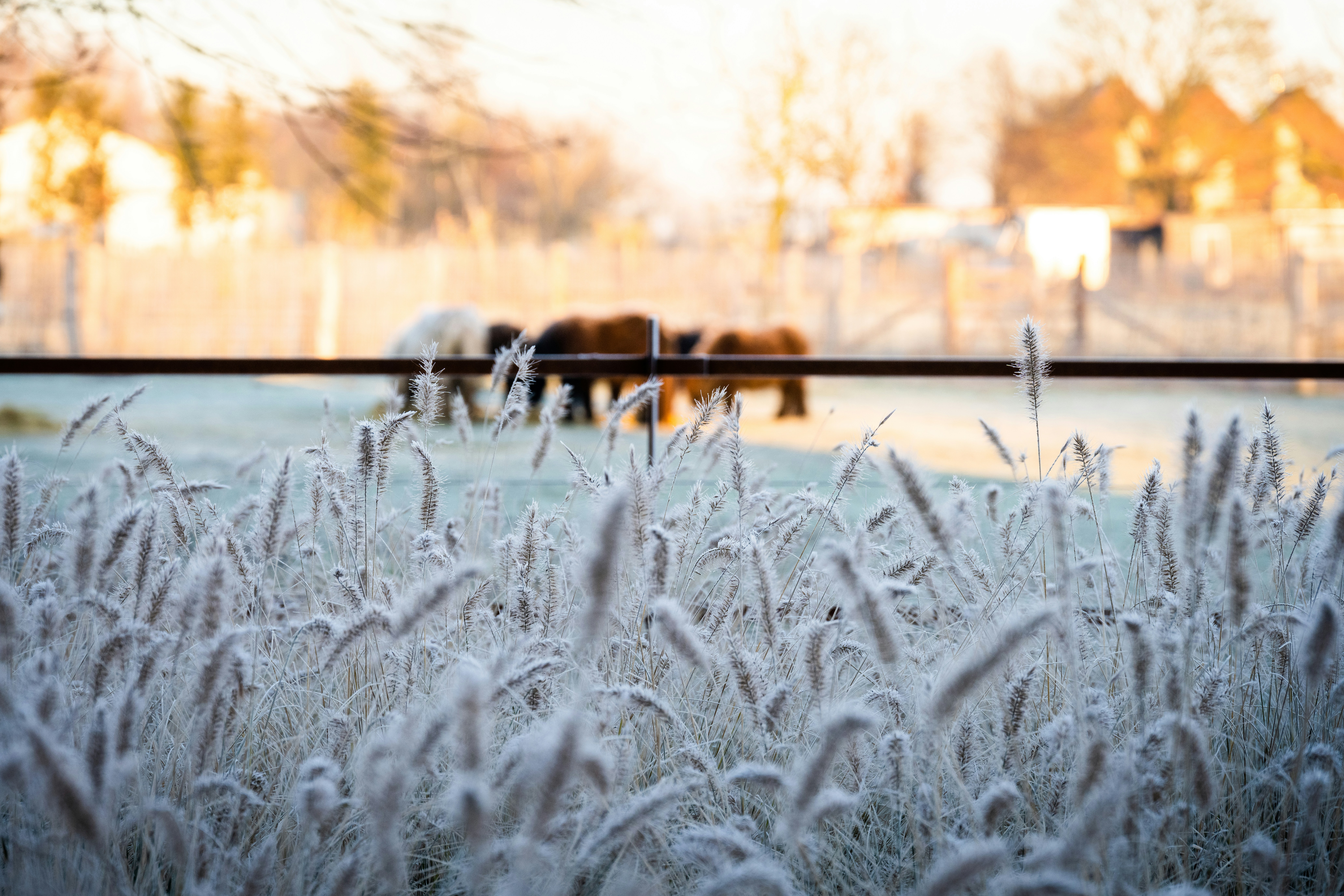 Photo by Aurelie Tack with Nikon Z7