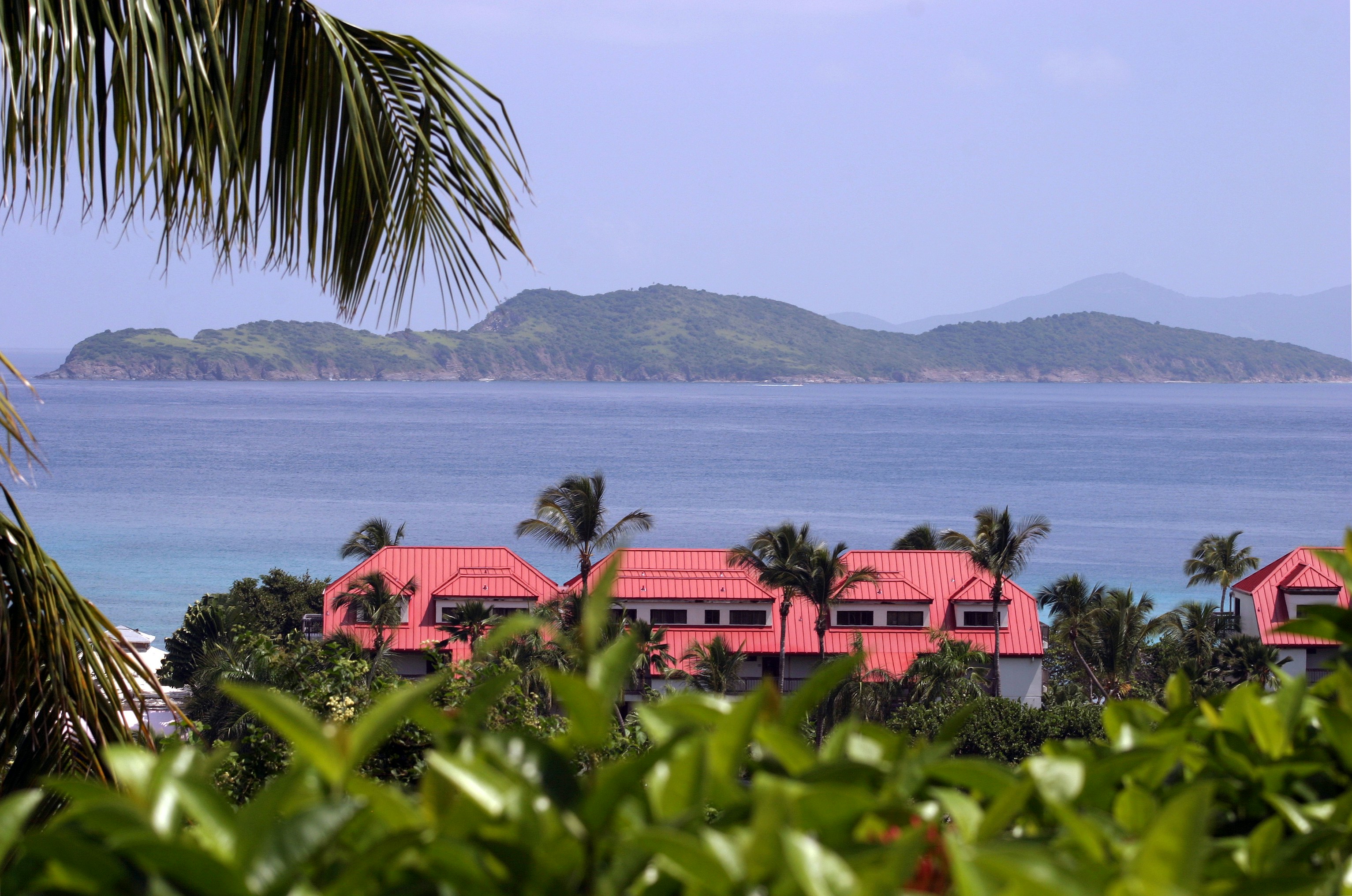 Vibrant coastal scene featuring lush greenery in the foreground with red-roofed buildings and distant islands under a clear blue sky.