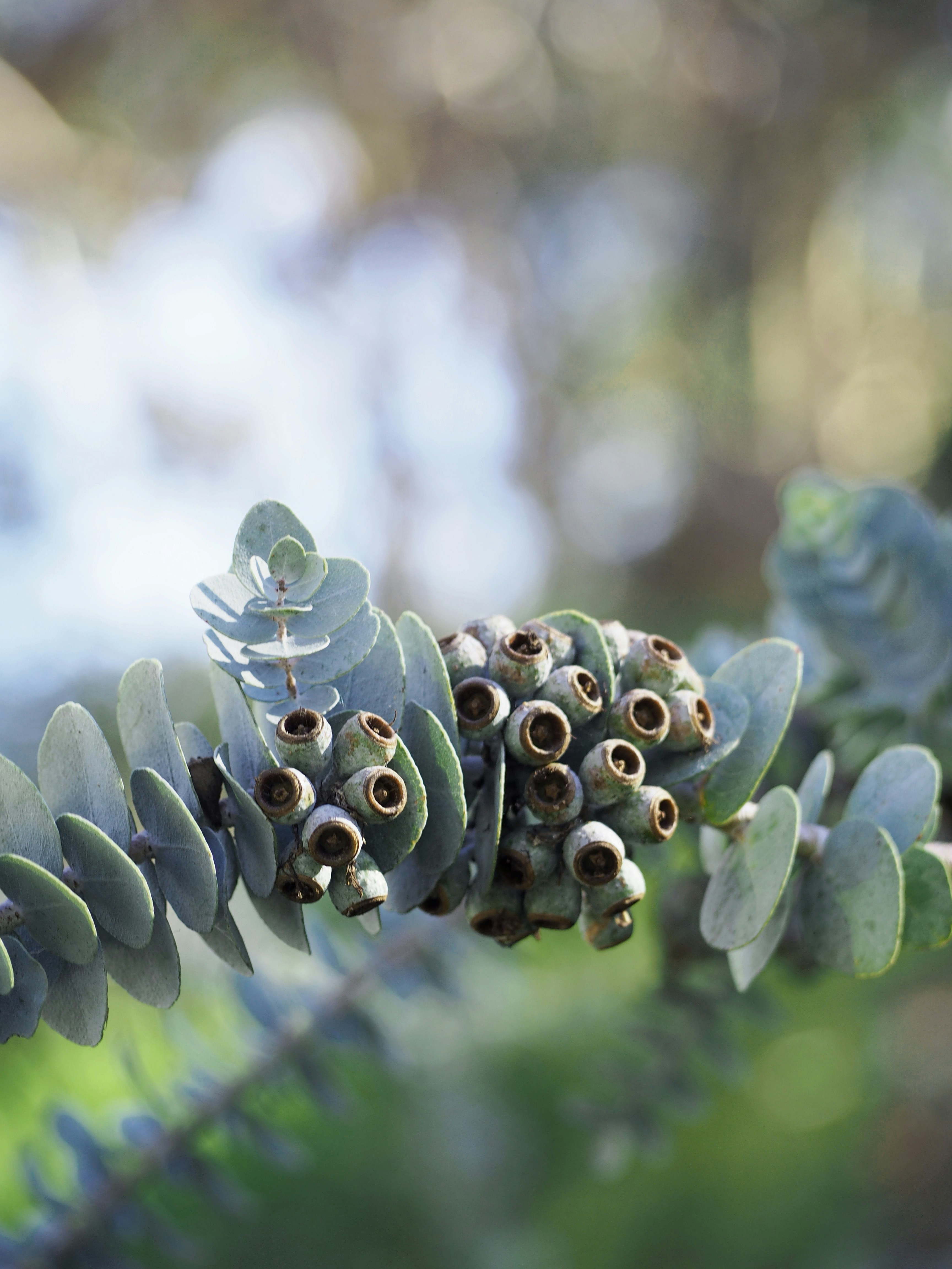 Ursula Pahl (@ursulapahl) | Unsplash Photo Community