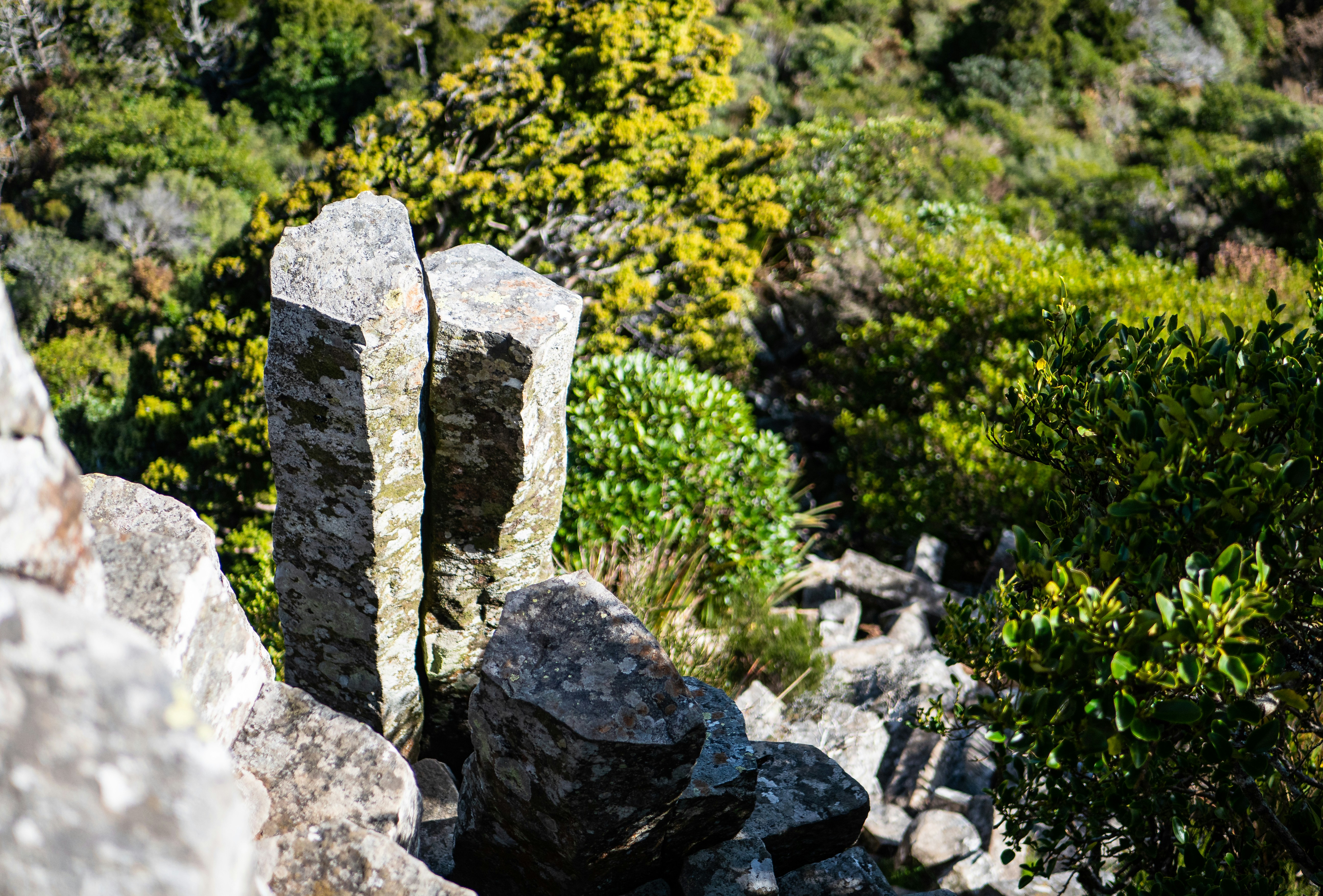 A couple of rocks sitting on top of a lush green hillside photo – Free ...