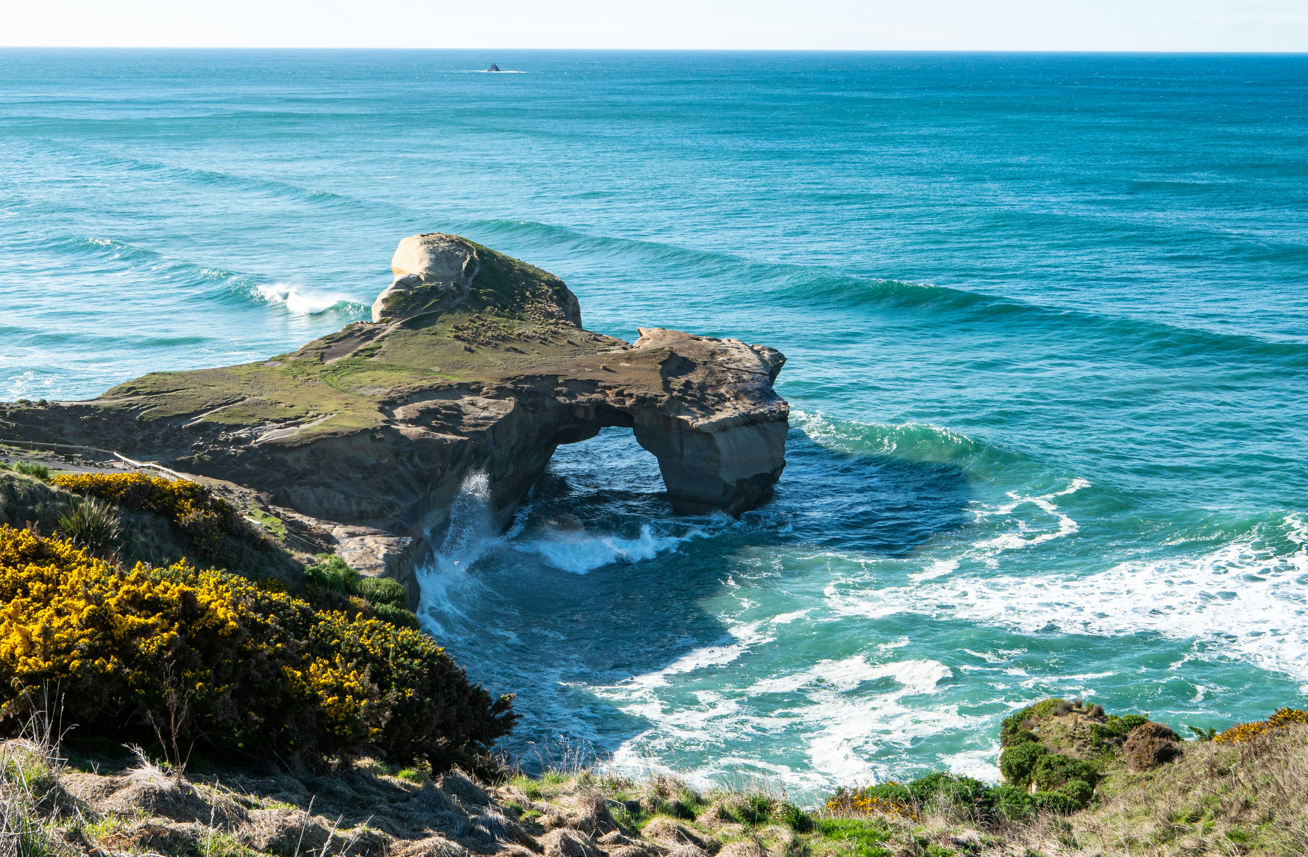 A rock formation in the middle of the ocean photo – Free Dunedin Image ...