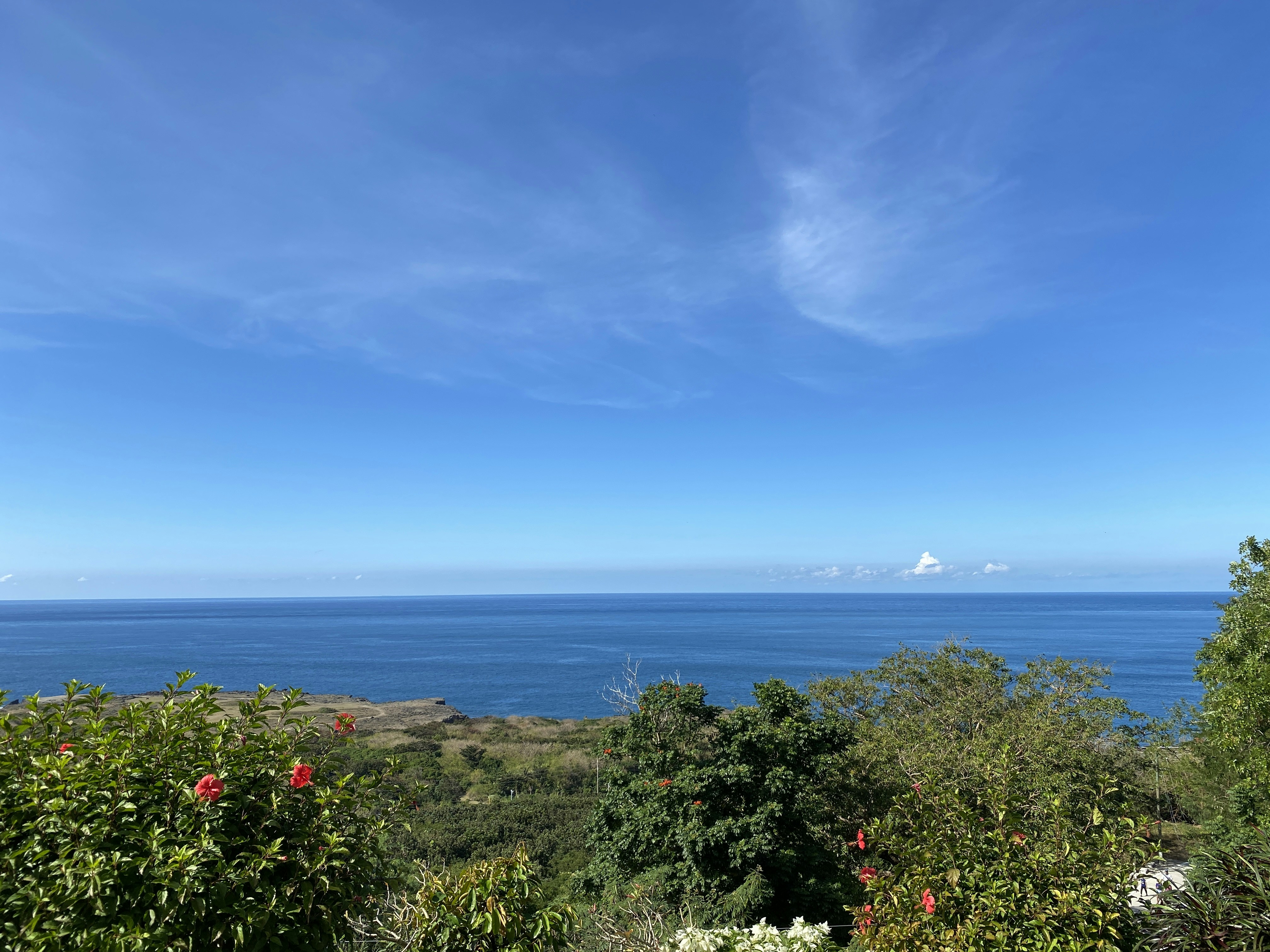 A view of the ocean from a hill top photo – Free Flower Image on Unsplash
