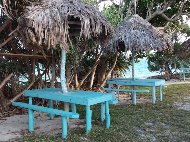 Vanuatu Island Guide: Volcanoes, Land Diving & Pacific Culture ...