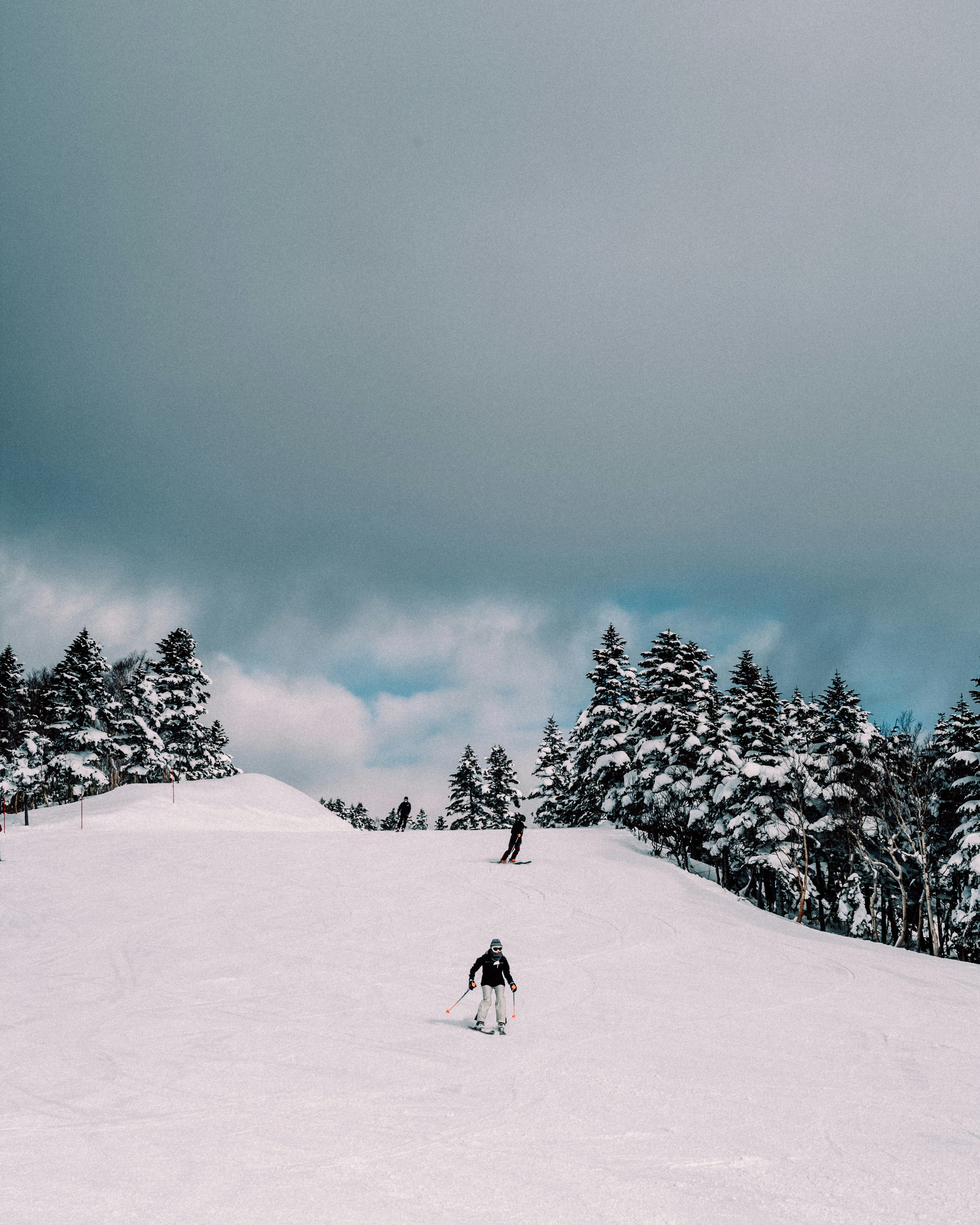 Two people skiing down a snow covered slope photo – Free Grey Image on ...