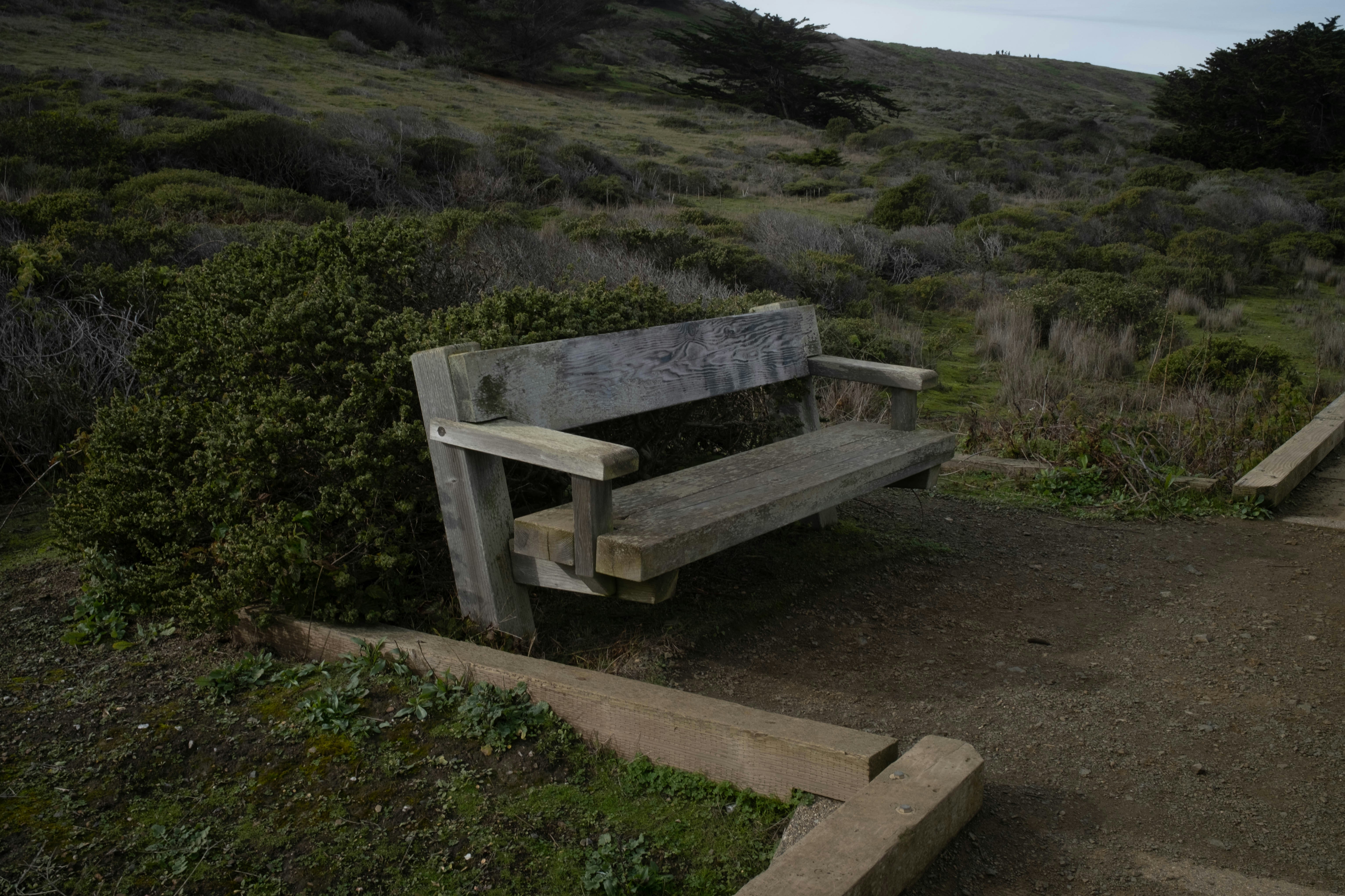 a wooden bench sitting on top of a lush green hillside