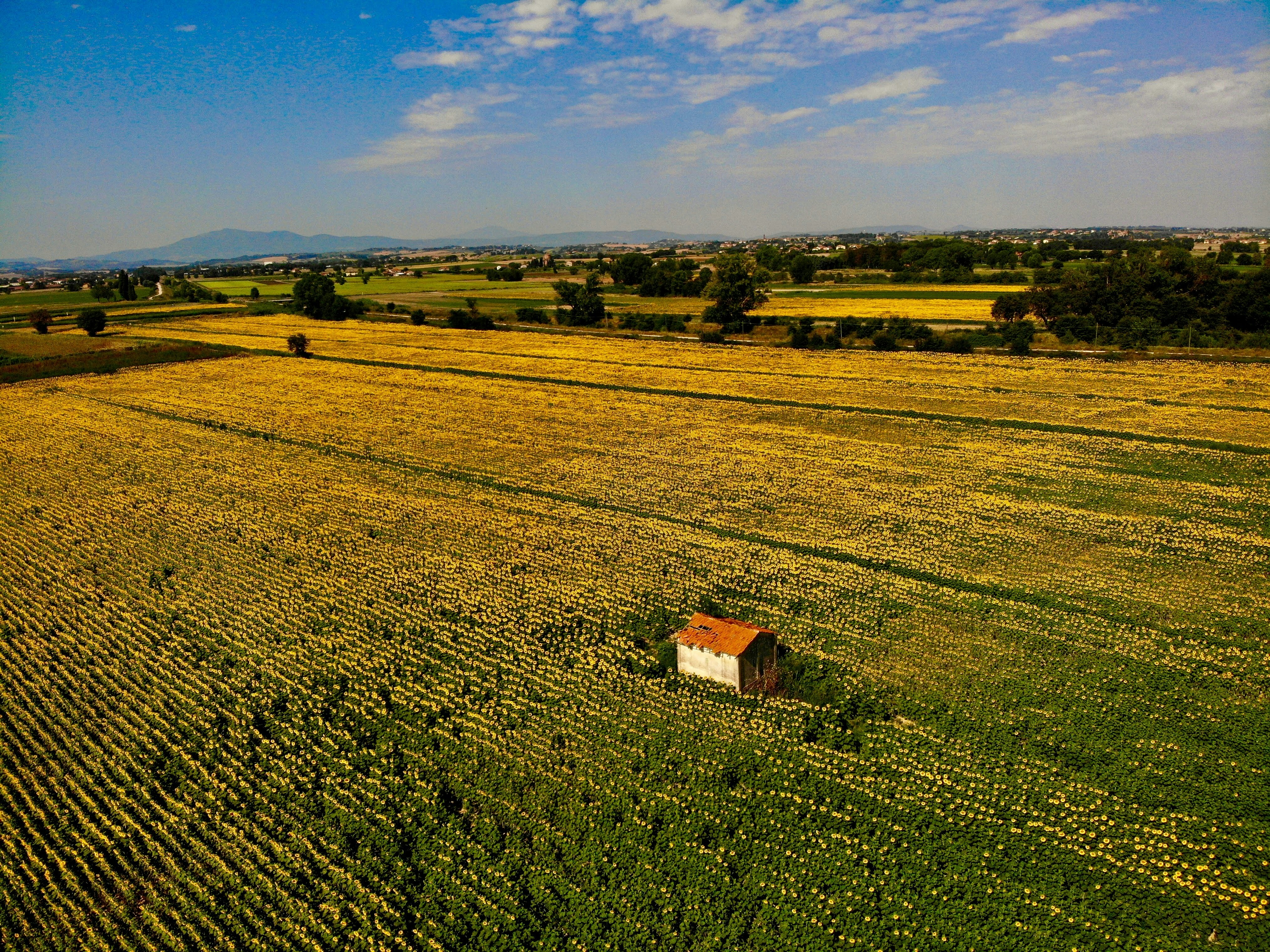 A lone barn sits in the center of expansive farm fields under a partly cloudy sky.