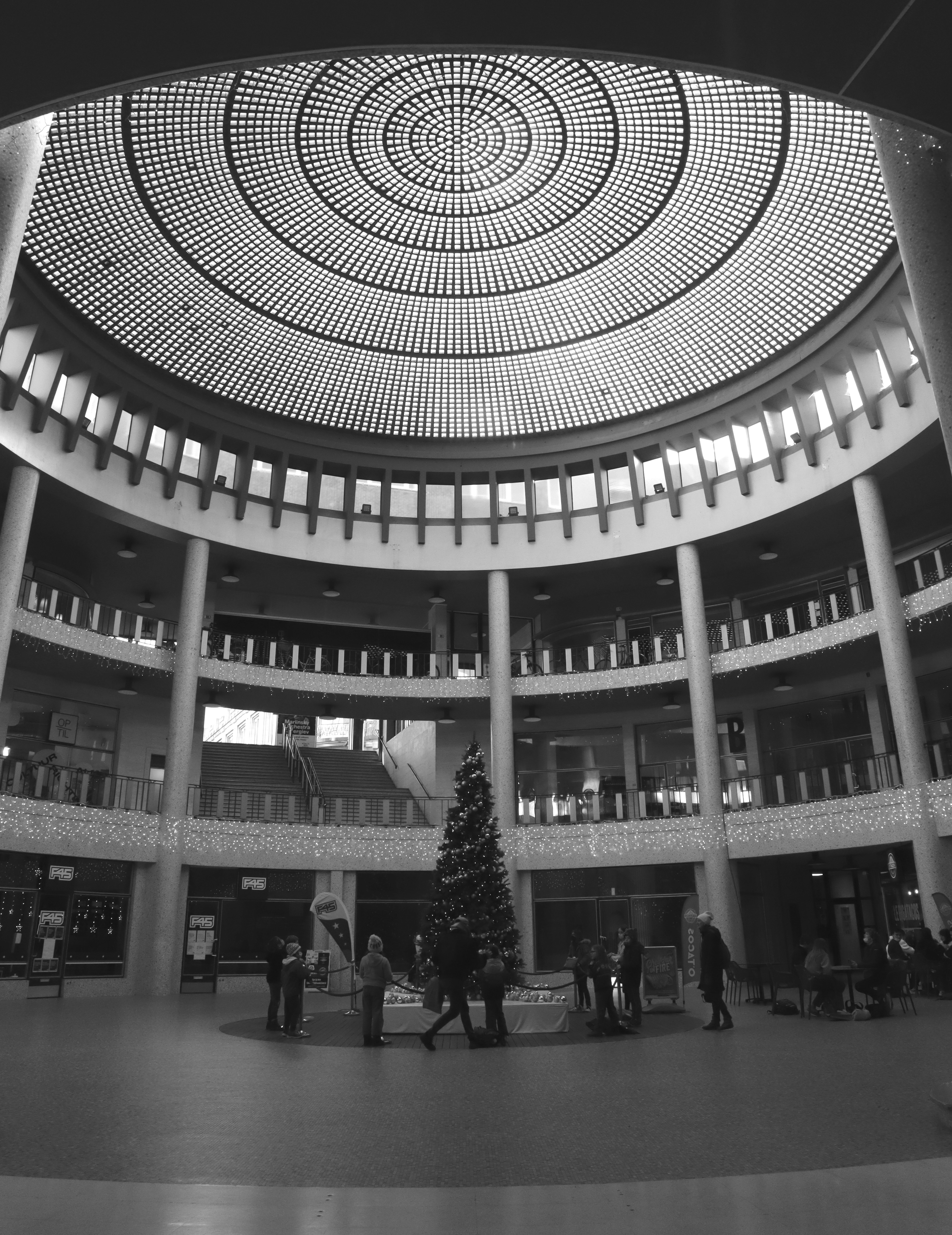 Central Christmas Tree Beneath a Glass Dome